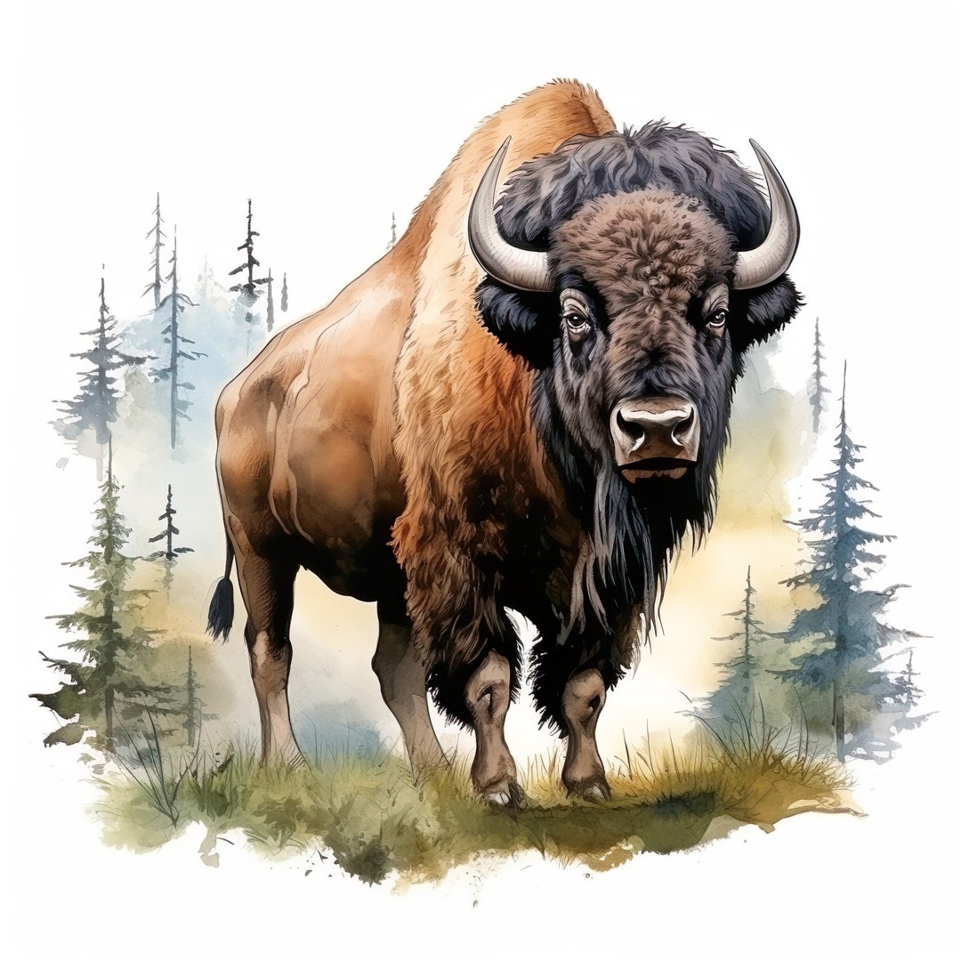Bison Sticker Watercolor Style Car Sticker Wild Animal Wall Decal ...