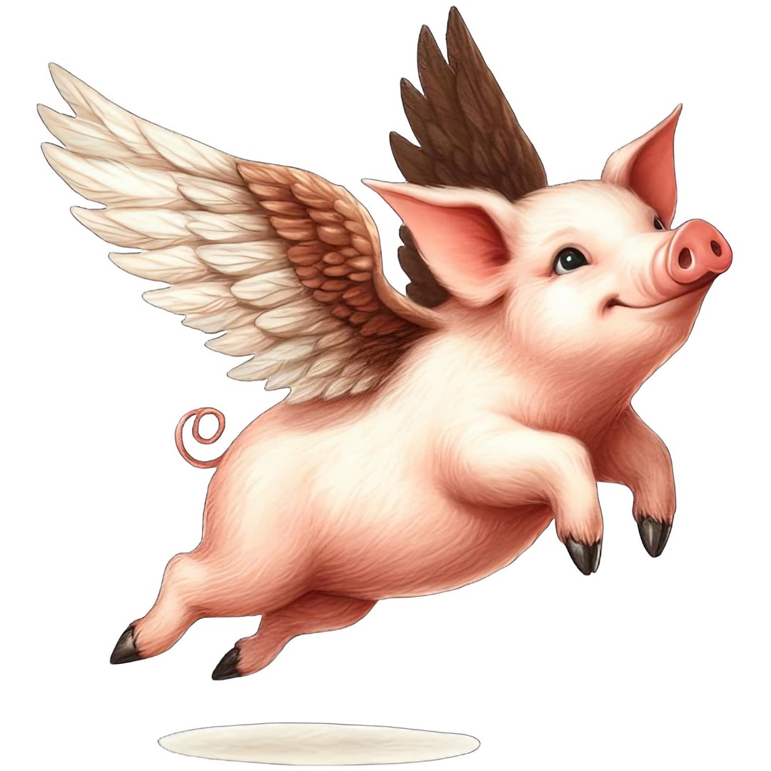 Flying Pig Sticker Car Sticker Wall Decal Funny Pig With Wings Sticker ...
