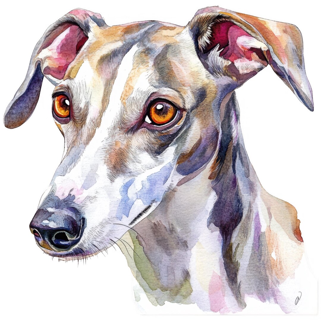 5X Greyhound Sticker Set, 5 Pieces, Watercolor Greyhound Car Stickers ...