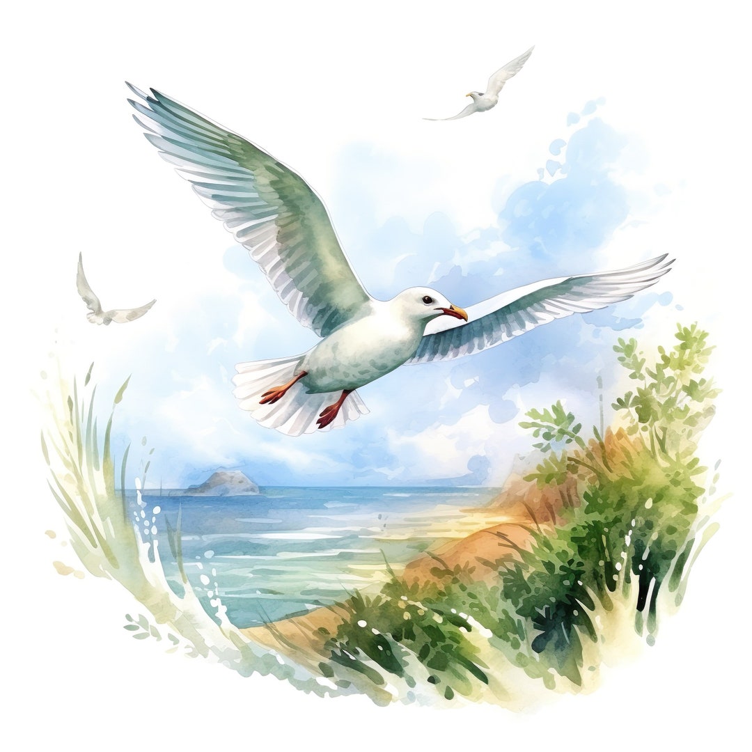 Seagull Sticker Maritime Sticker With Flying Seagulls Wall Sticker Car ...