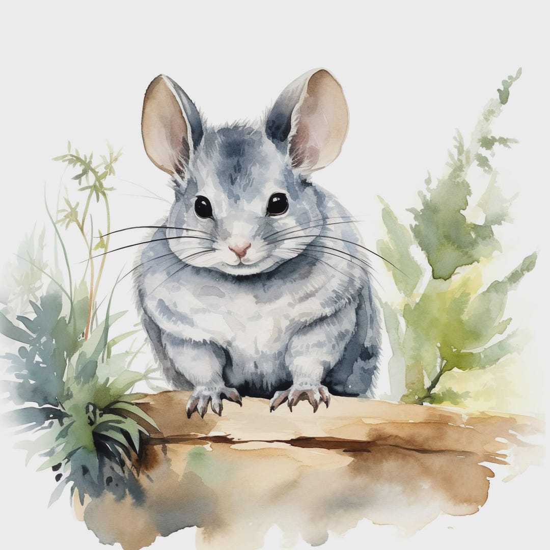 Chinchilla With Cacti Car Sticker – Cute Watercolor Desert Animal ...