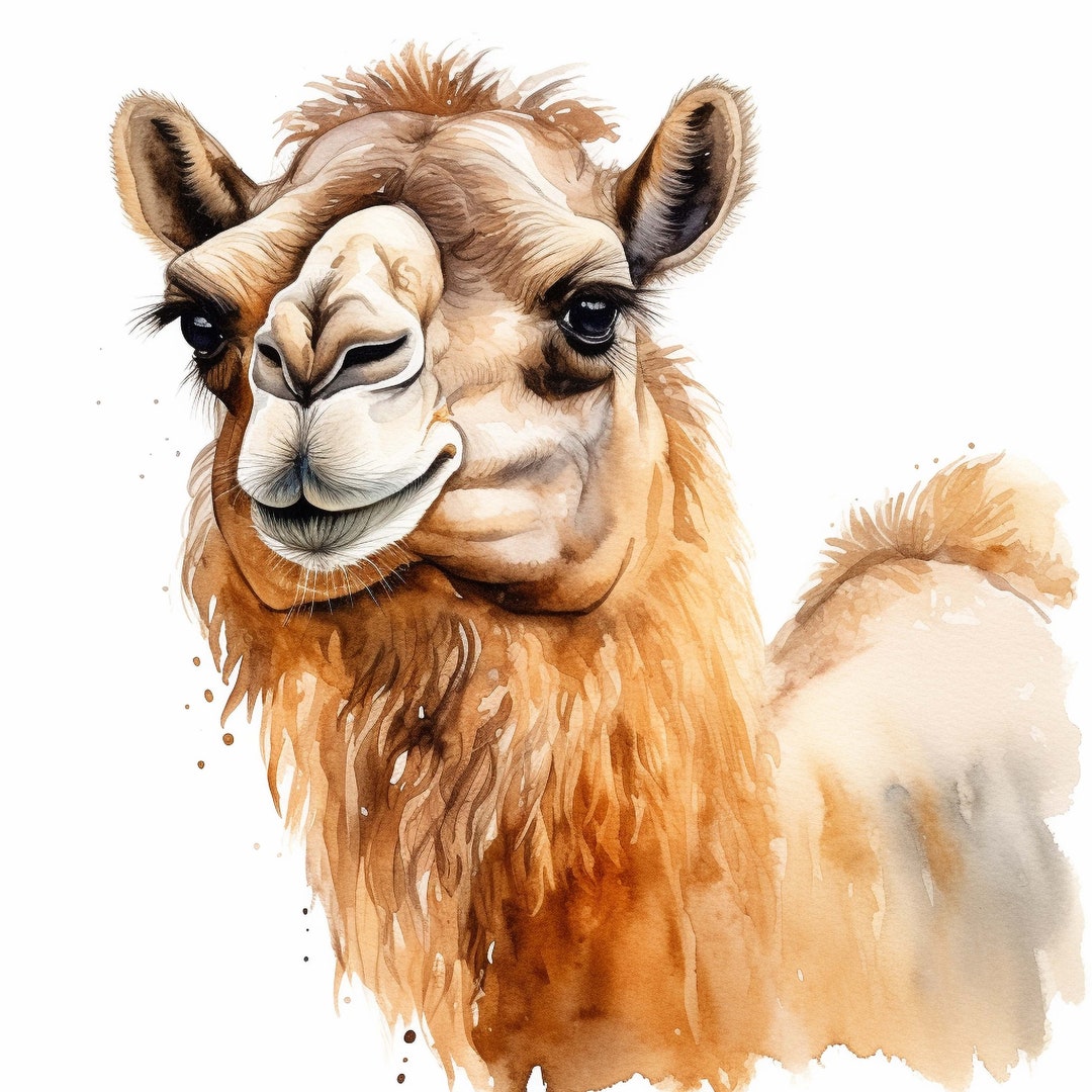 Autoaufkleber Aquarell Kamel Aufkleber Wetterfester Outdoor Uv ...