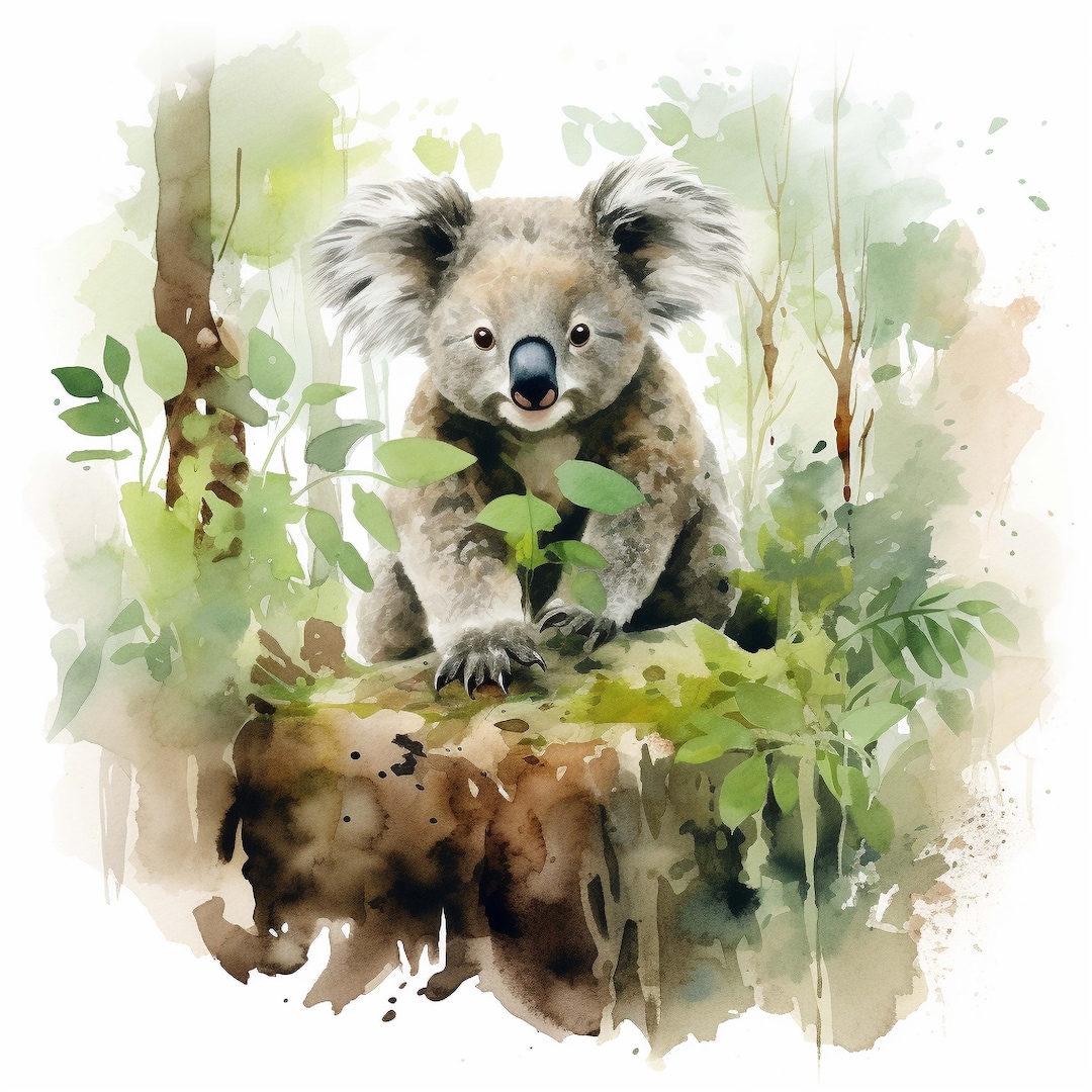 Car Sticker Watercolor Koala Sticker Weatherproof Outdoor Vinyl - Etsy