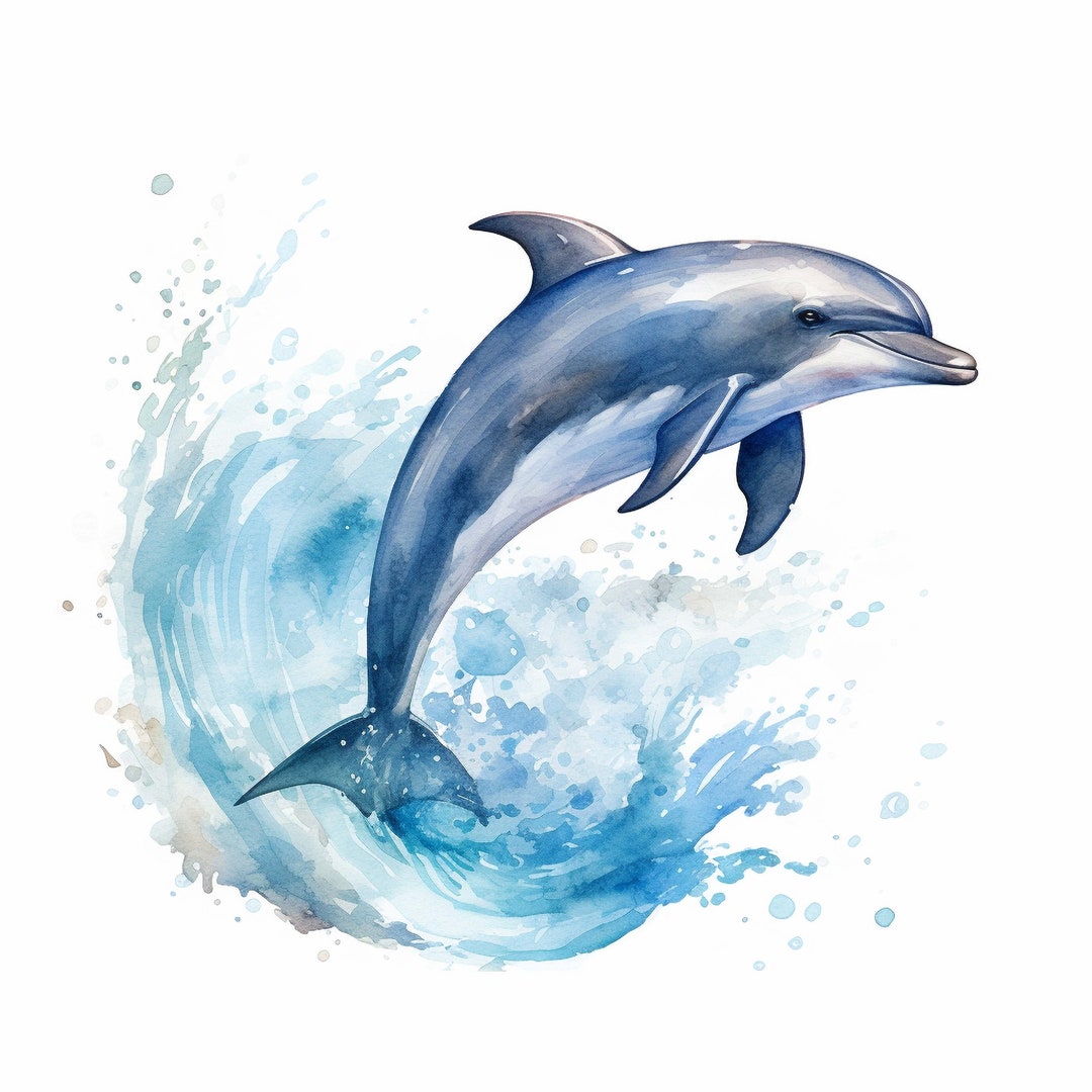 2X Watercolor Dolphin Stickers Personalizable Outdoor Vinyl Stickers - Etsy