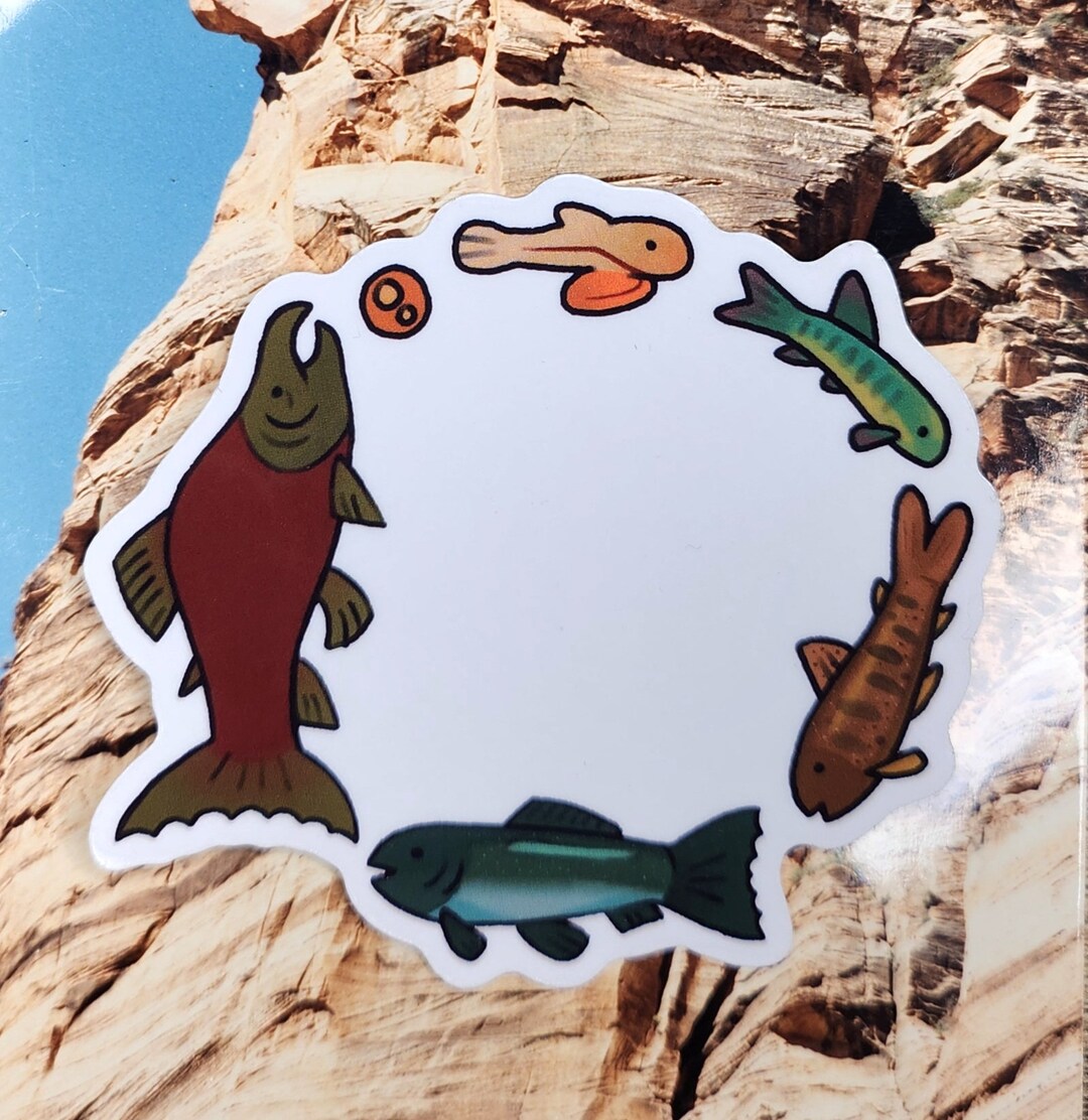 Salmon Life Cycle Transparent Sticker - Etsy