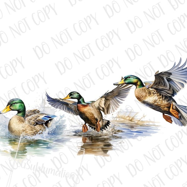 Mallard Ducks - Etsy