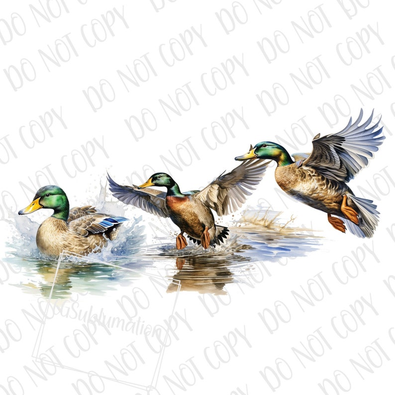 Mallard Duck Hunting PNG, Hunter Sublimation Design, Ducks Flying ...