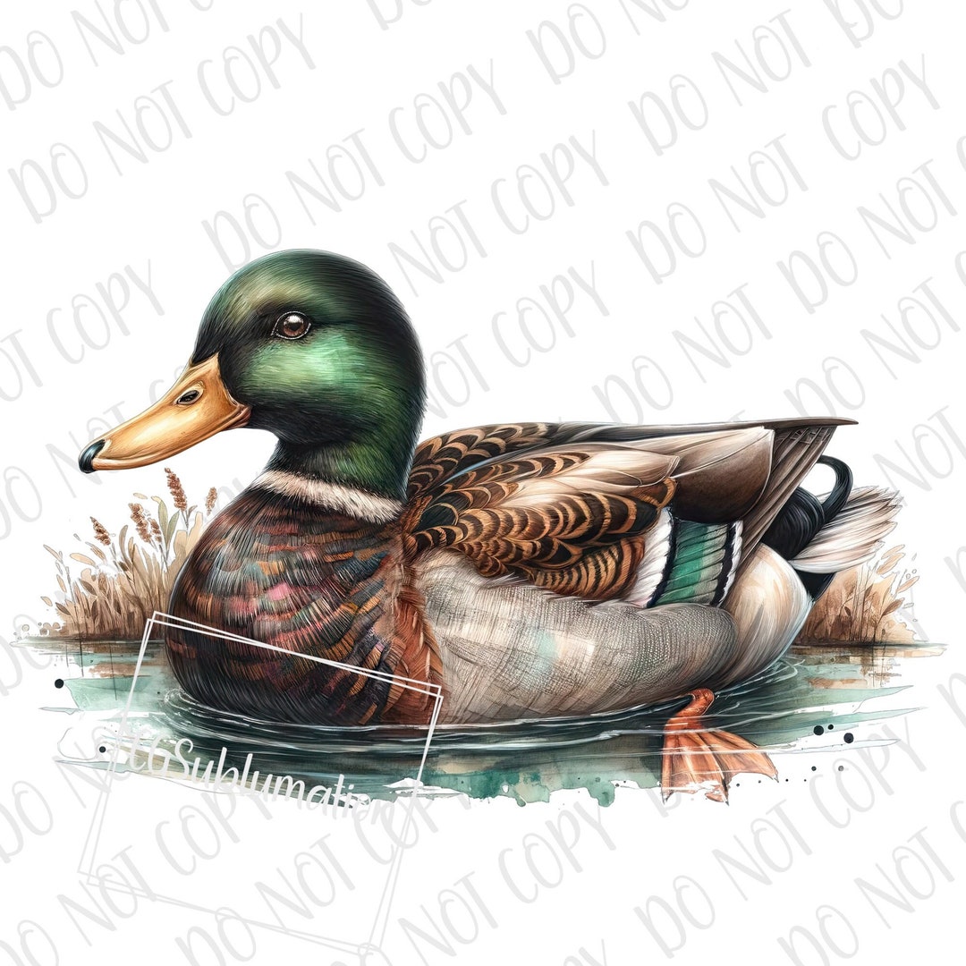 Duck Hunting PNG | Hunting Sublimation | Digital Download | Duck Hunt ...