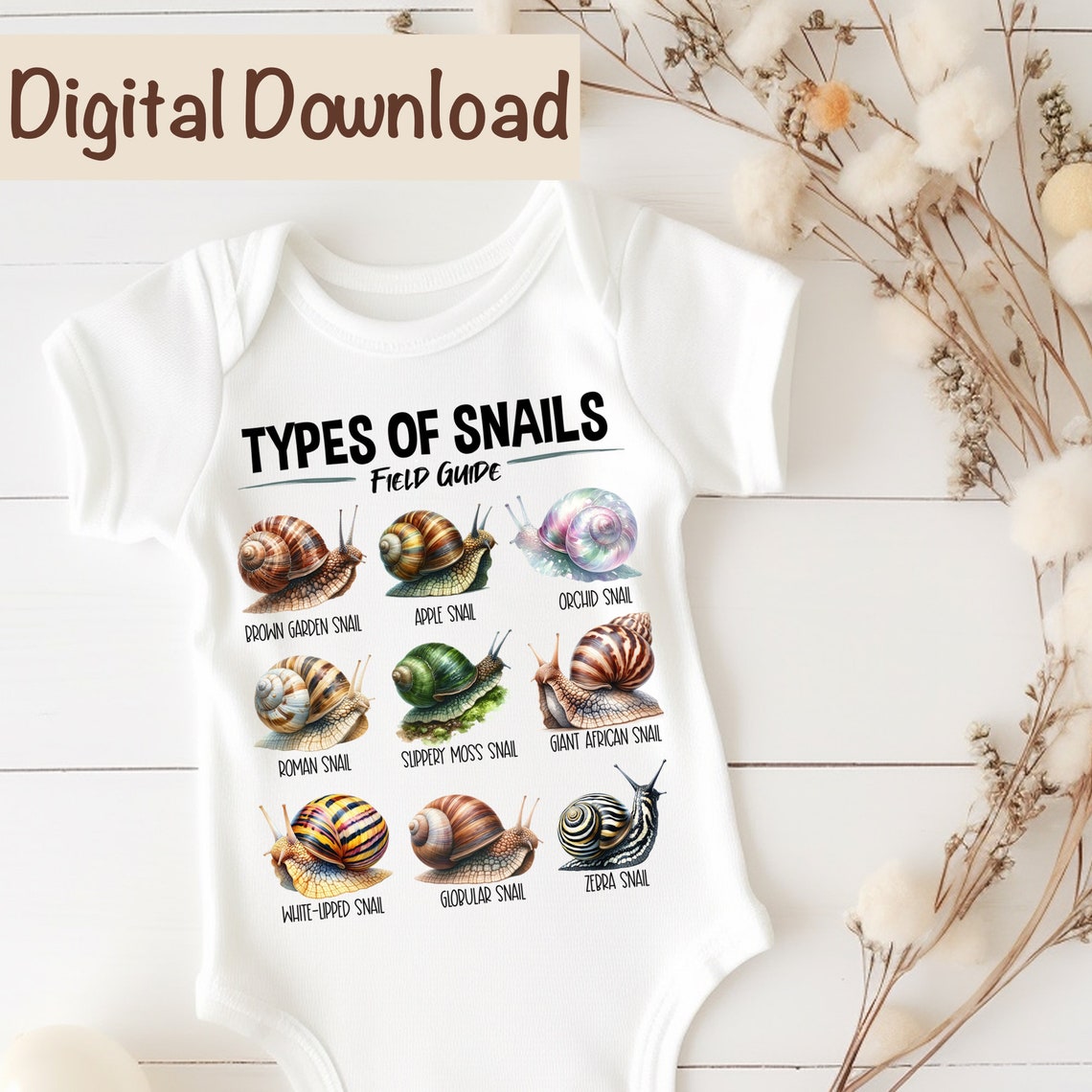 Snail Guide PNG, Garden Snail Field Guide Sublimation Digital Download ...