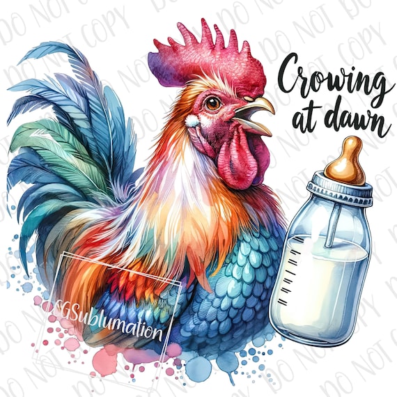 Rooster Crowing At Dawn