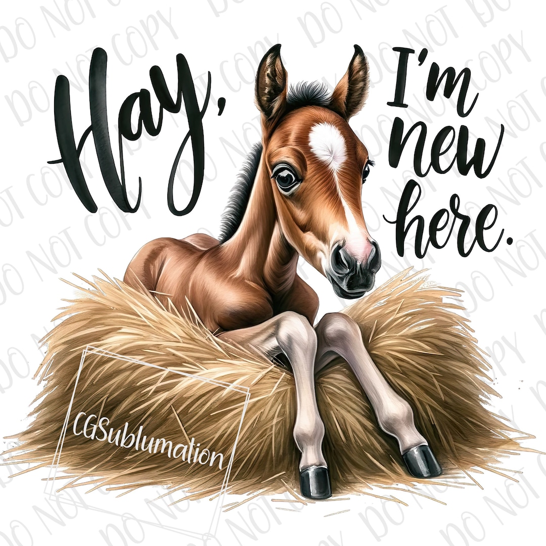 Cute Farm Baby PNG, Hay, I'm New Here Baby Horse Sublimation, Digital ...