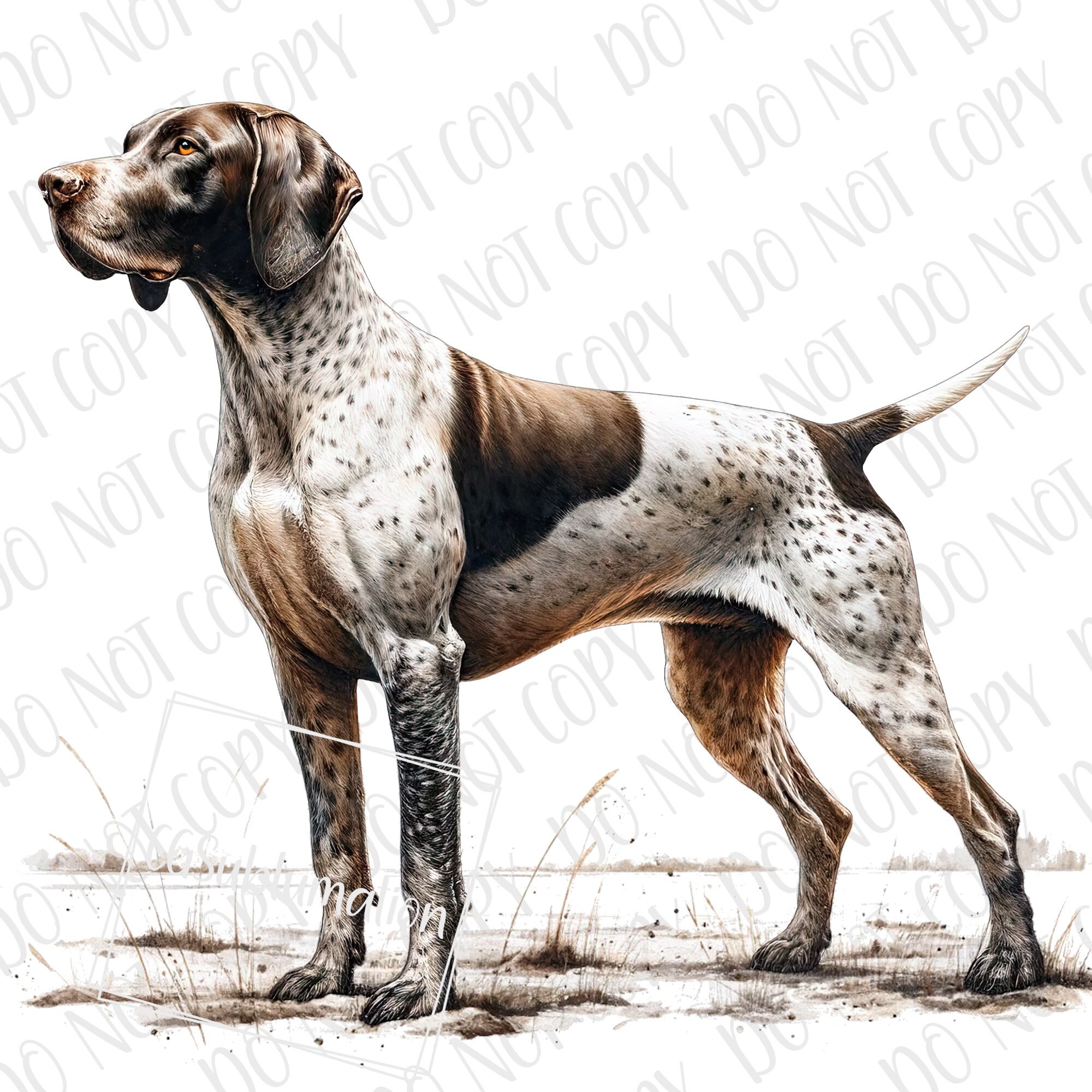 Hunting Dog PNG, Pointer Dog Sublimation Digital Download Duck Hunter ...