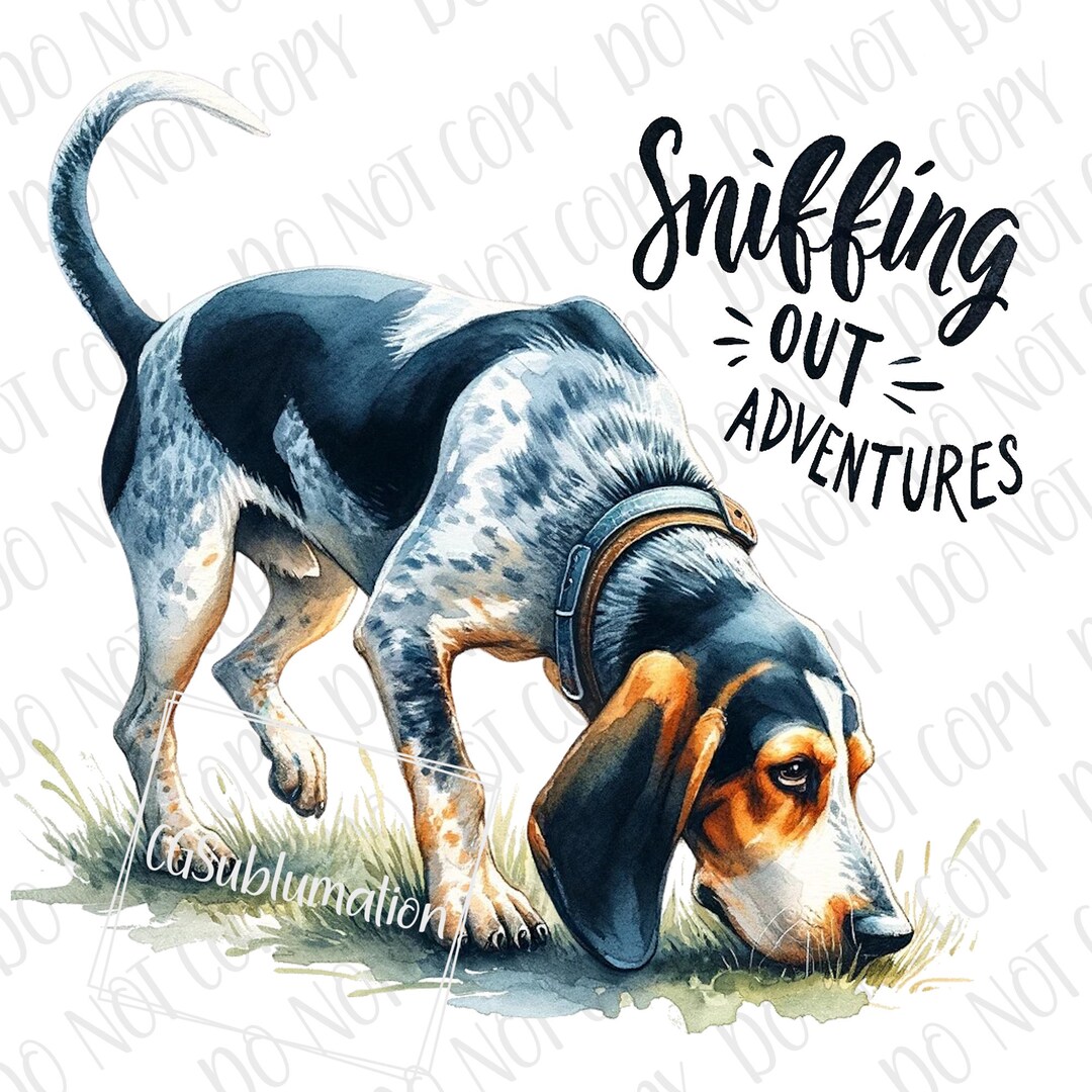 Bluetick Hunting Dog Png | Racoon Hunting Sublimation | Coon Hunting ...