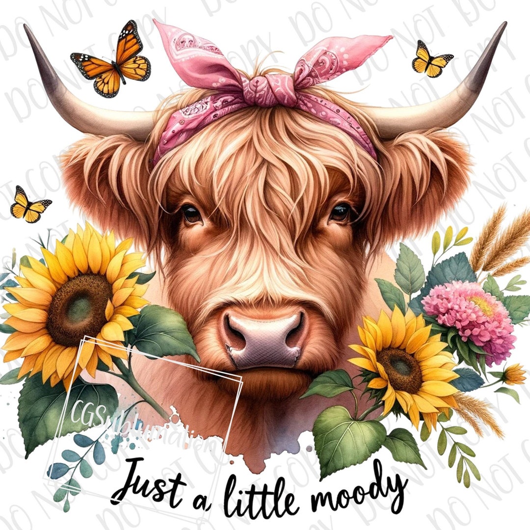 Highland Cow PNG, Sunflower Cow Png, Farm Cow PNG, Just a Little Moody ...