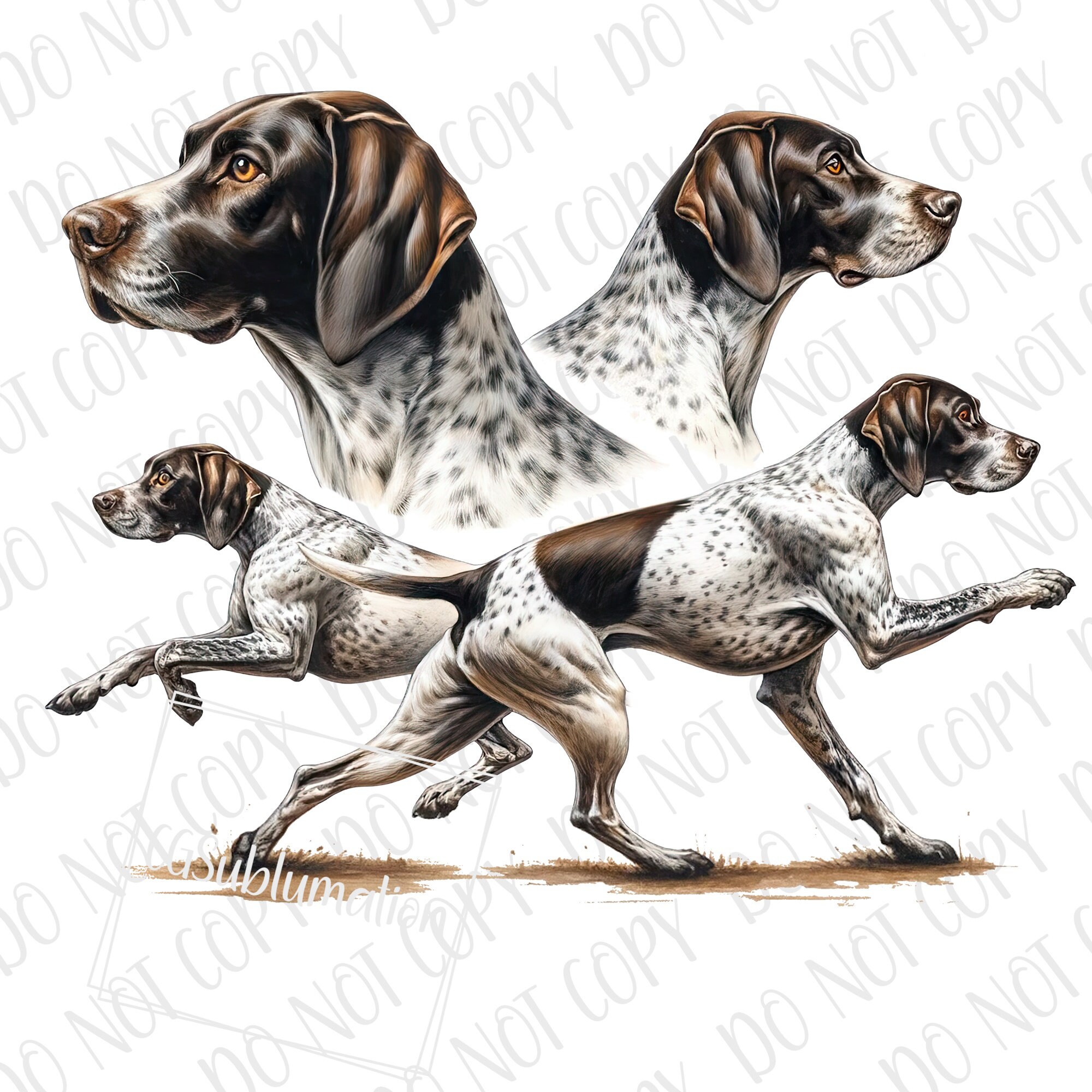 Hunting Dog PNG, Pointer Dog Sublimation Digital Download Duck Hunter ...