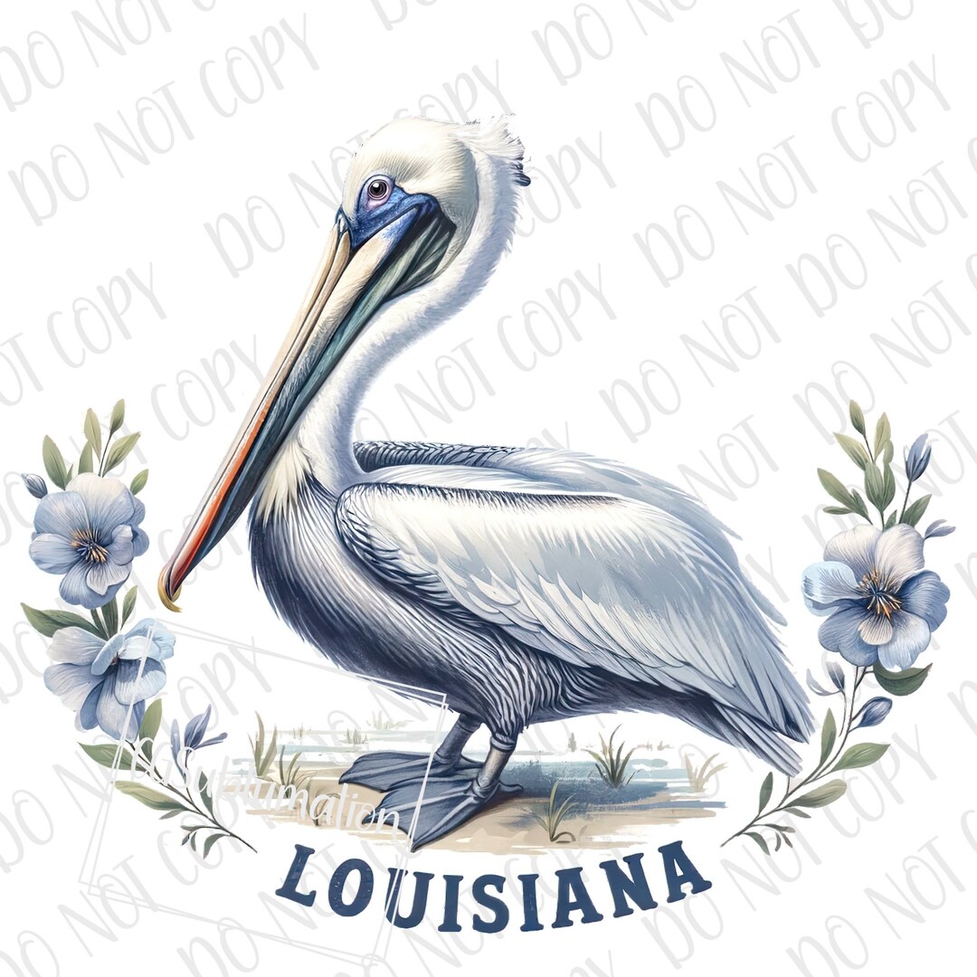 Pelican PNG, Louisiana Pelican Png Louisiana State Bird Png Sublimation ...