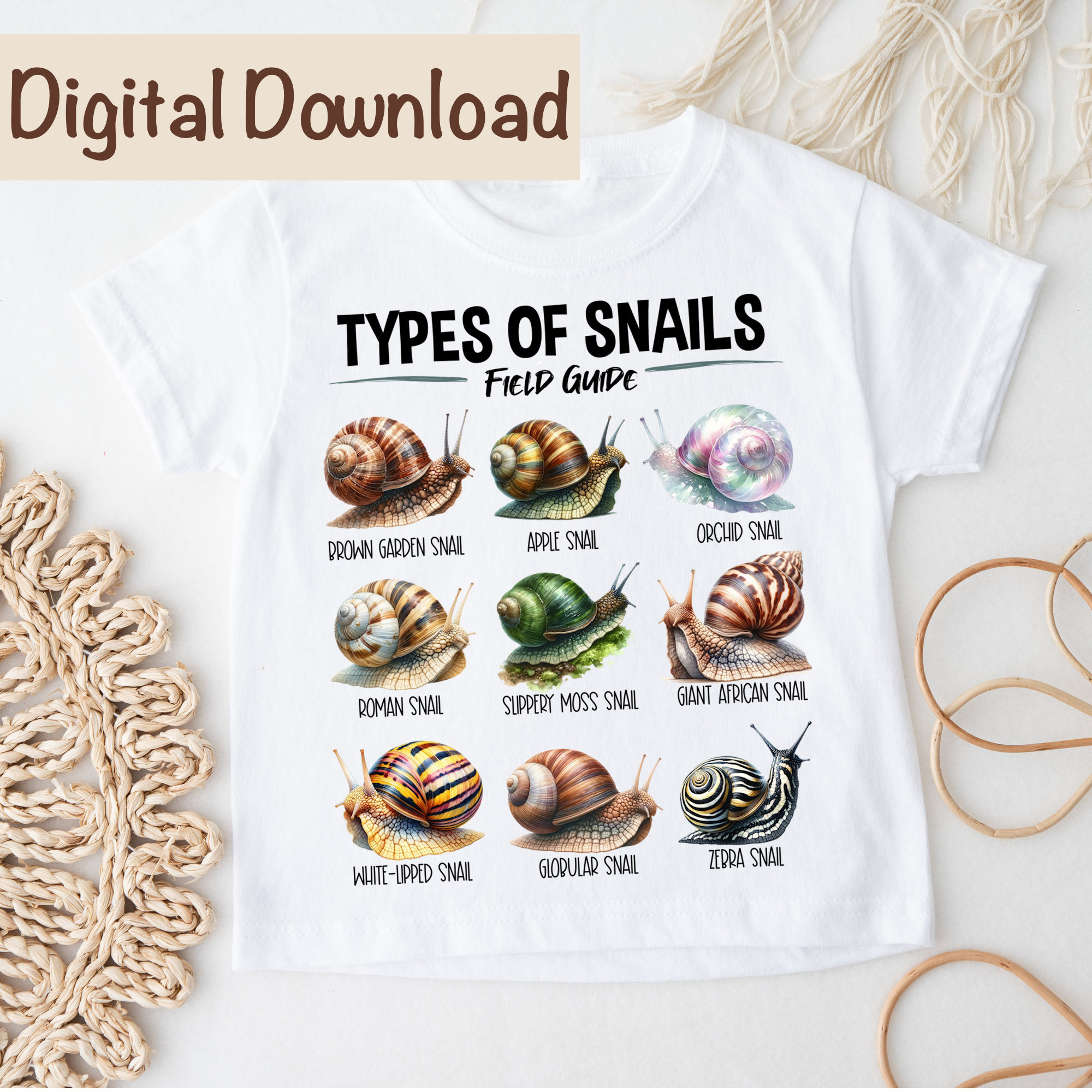 Snail Guide PNG, Garden Snail Field Guide Sublimation Digital Download ...