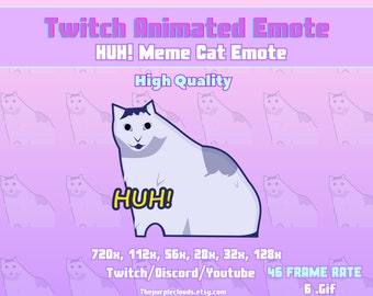 Meme Animated Emote Cat, Twitch Meme, Meme Emote, Cat Meme Emote, Tik ...