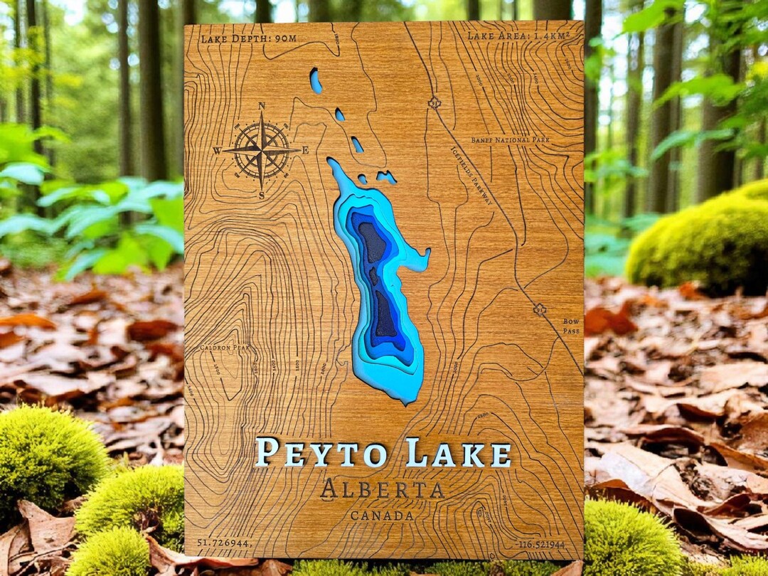 Handmade Wood Contour and Depth Map of Peyto Lake, Banff National Park ...