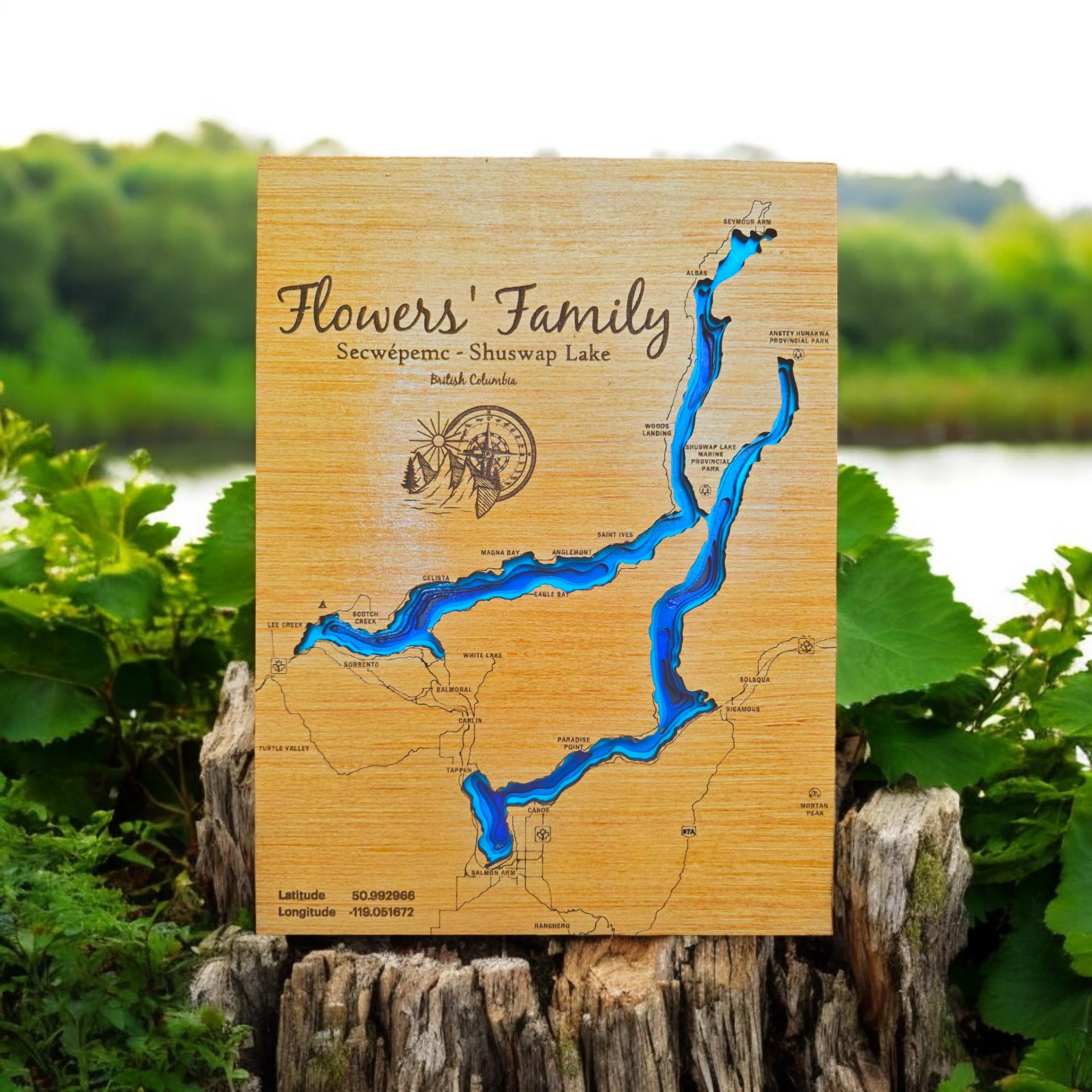Shuswap Lakes Bathymetric Wood Map - Etsy