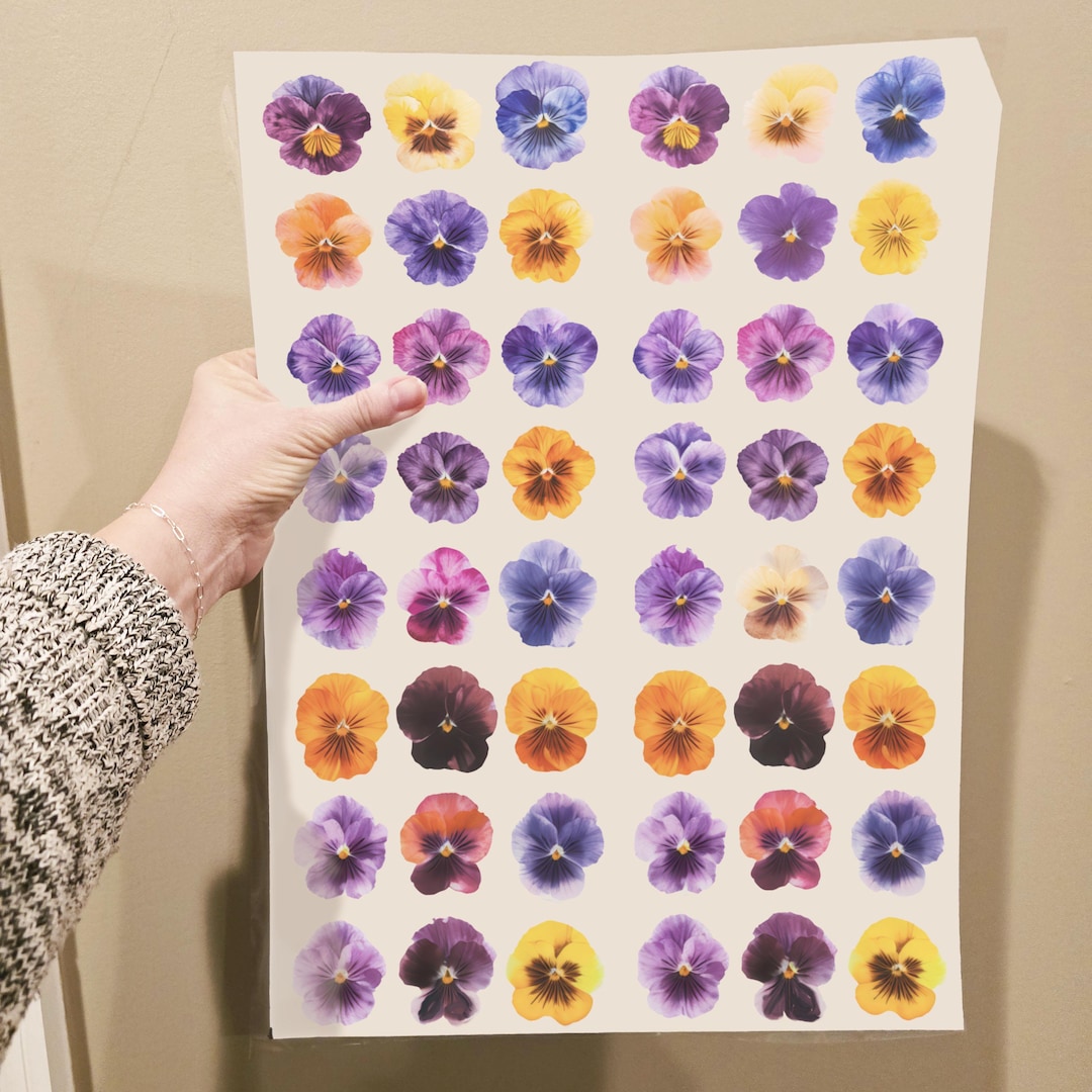 Watercolor Pansies Flower Stickers, Botanical Pansy Decals, Flower ...