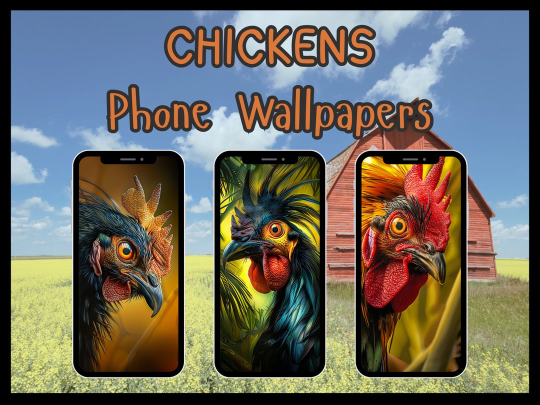 3 Unique CHICKEN Phone Backgrounds. Super Gift. Beautiful Digital ...