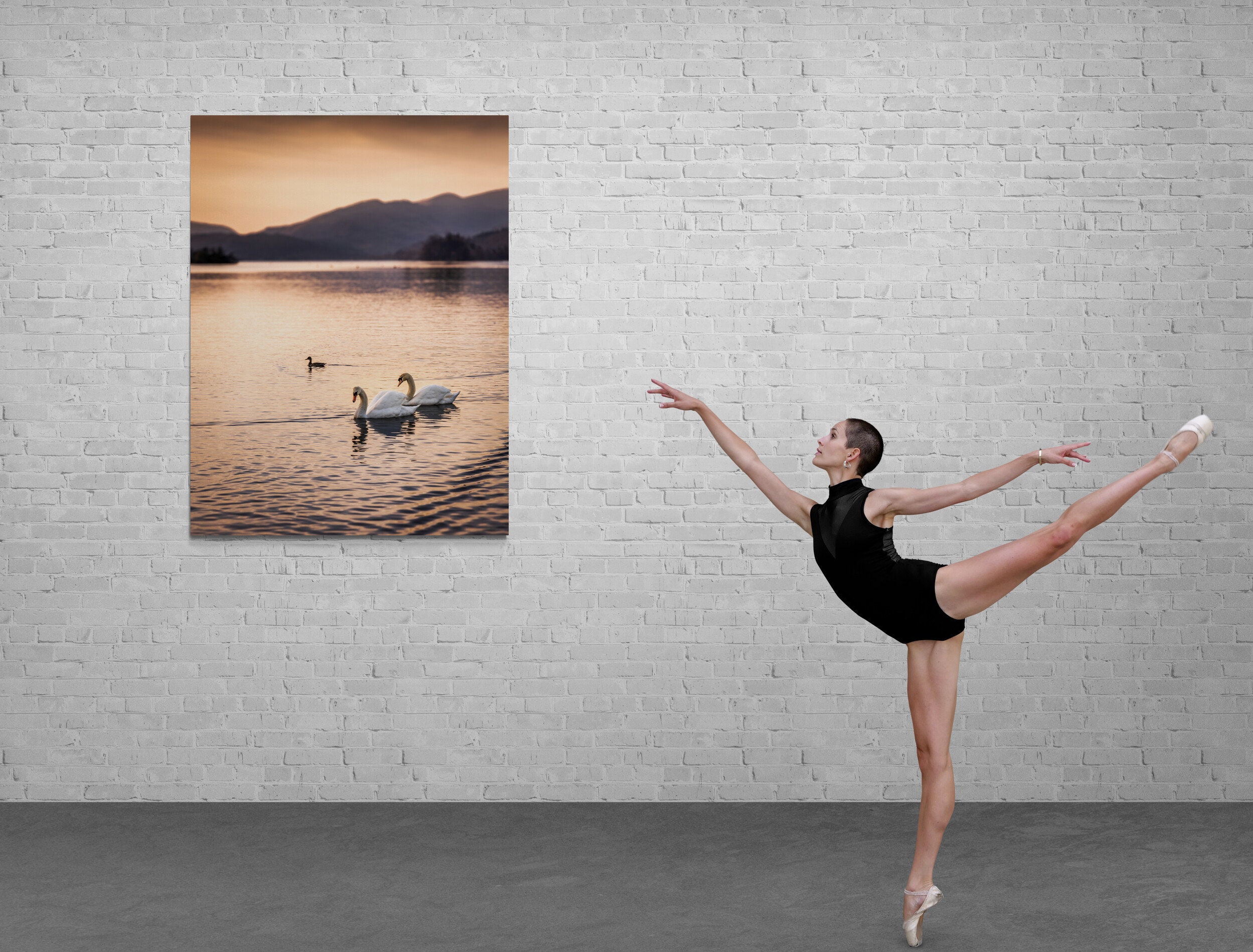 Swans in Lake Windermere Print, Lake Windermere Photo, Swan Wall ...