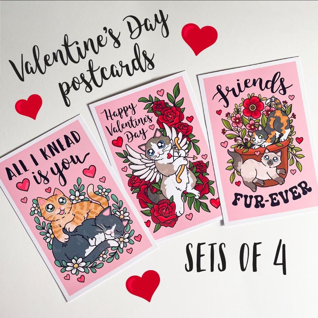 Cute Cat Valentine's Day Card, Gifts for Her, Galentine's Day Card ...