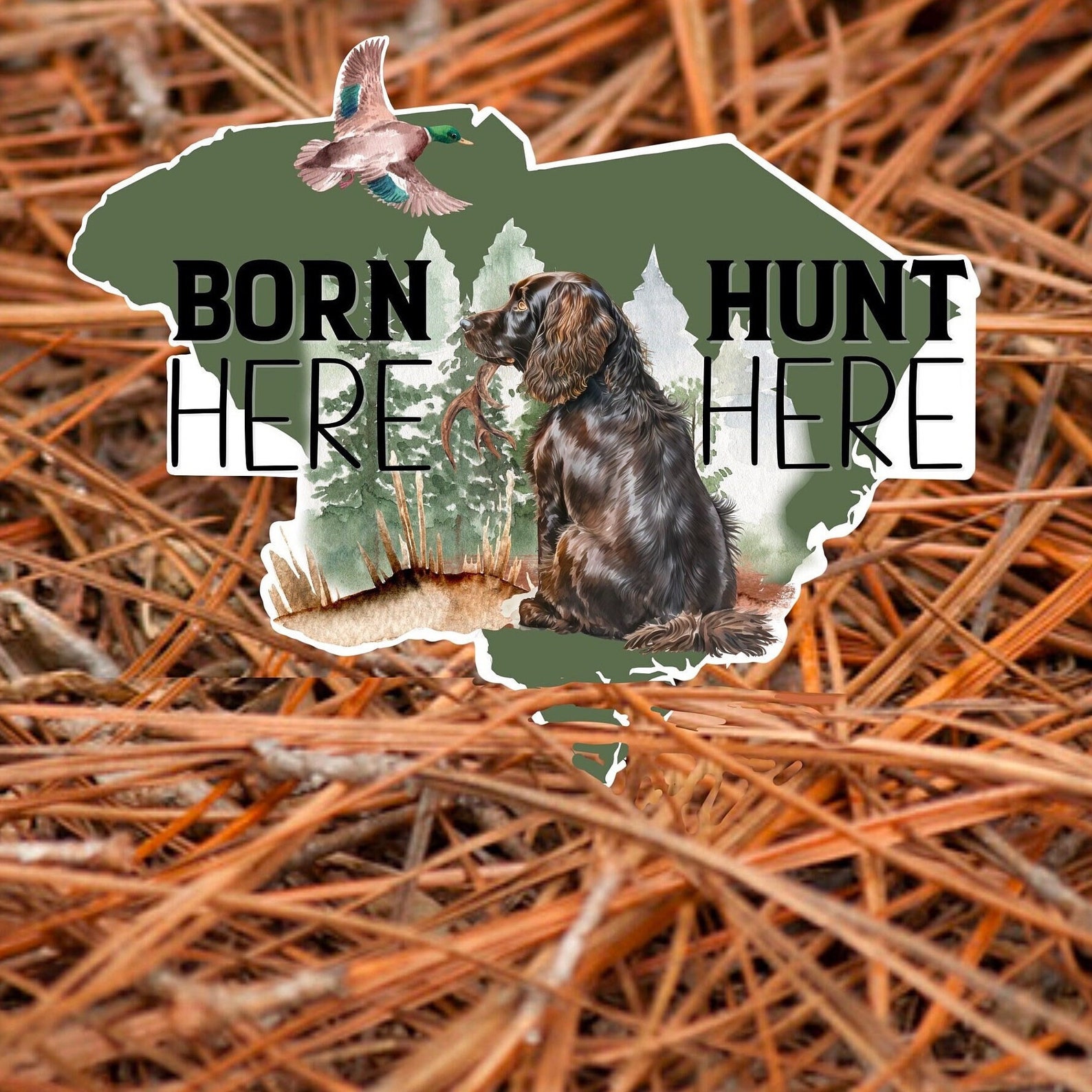 Born Here Hunt Here, SC Sticker, Hunting Decal, Boykin Spaniel Sticker ...