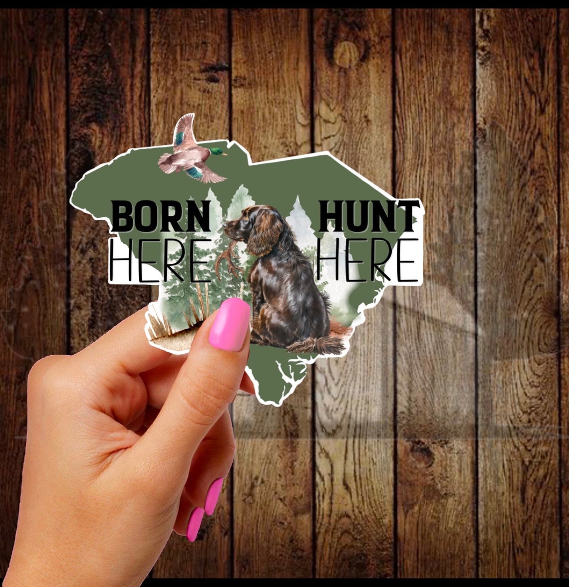 Born Here Hunt Here, SC Sticker, Hunting Decal, Boykin Spaniel Sticker ...