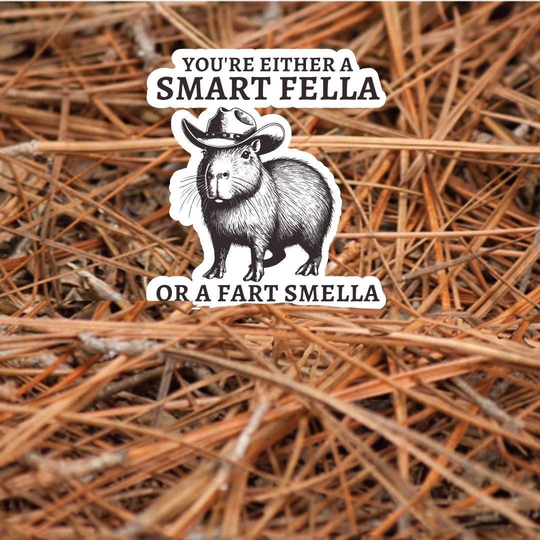 Capybara Sticker – Smart Fella or Fart Smella Funny Vinyl Sticker - Etsy