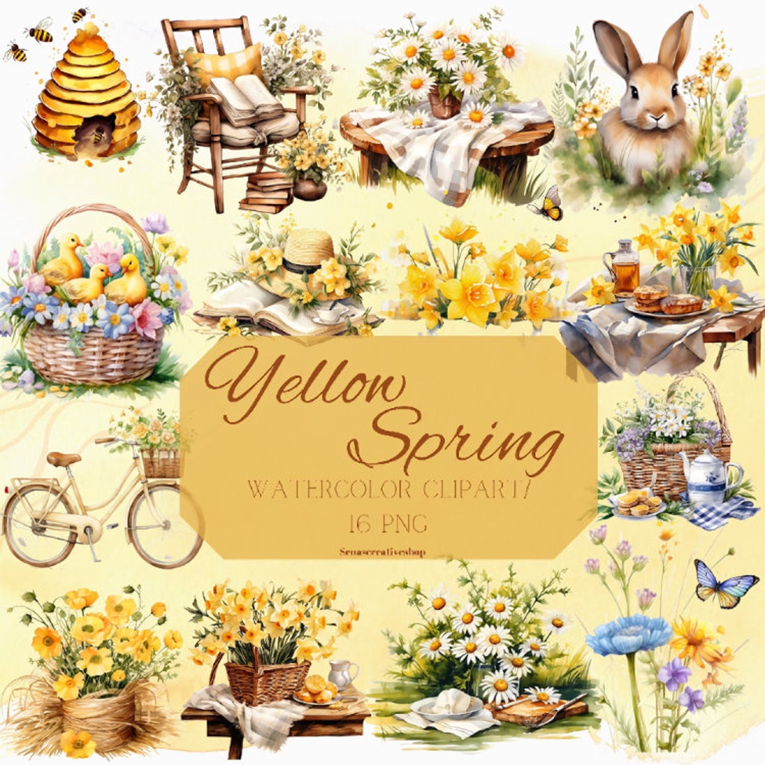 Watercolor Yellow Spring Clipart, Spring Clipart, Daisy Clipart, Spring ...