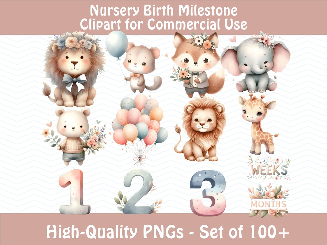 Nursery Birth Milestone Clipart Bundle PNG, Baby Monthly Milestone Clip ...