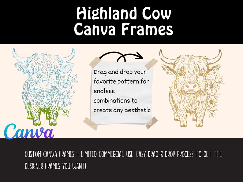 Highland Cow Canva Frames, Baby Cow SVG, Farm Animal PNG, Western ...