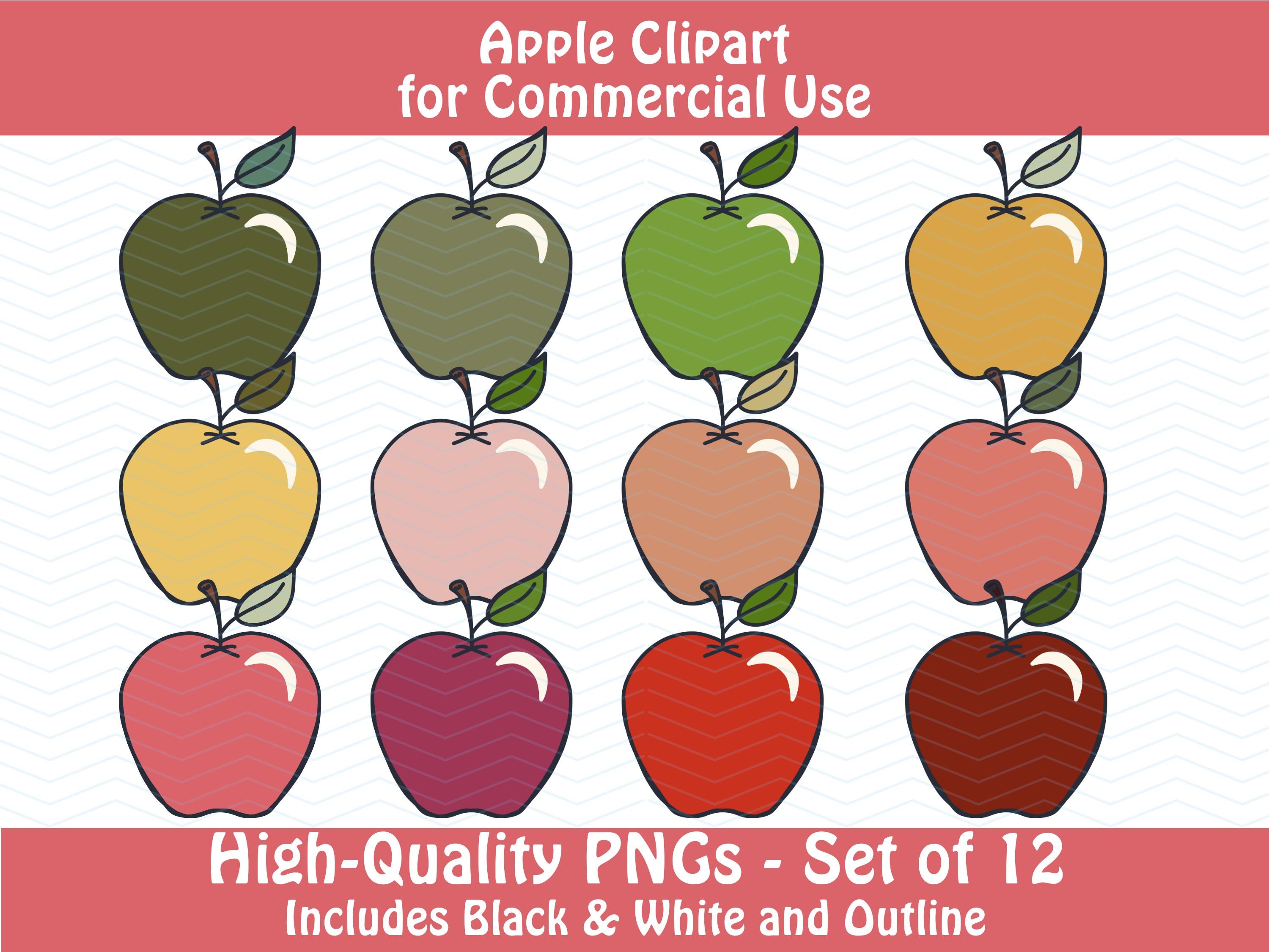 Apple Clipart Bundle Set of 12 Teacher Classroom Decor PNG Clipart for ...