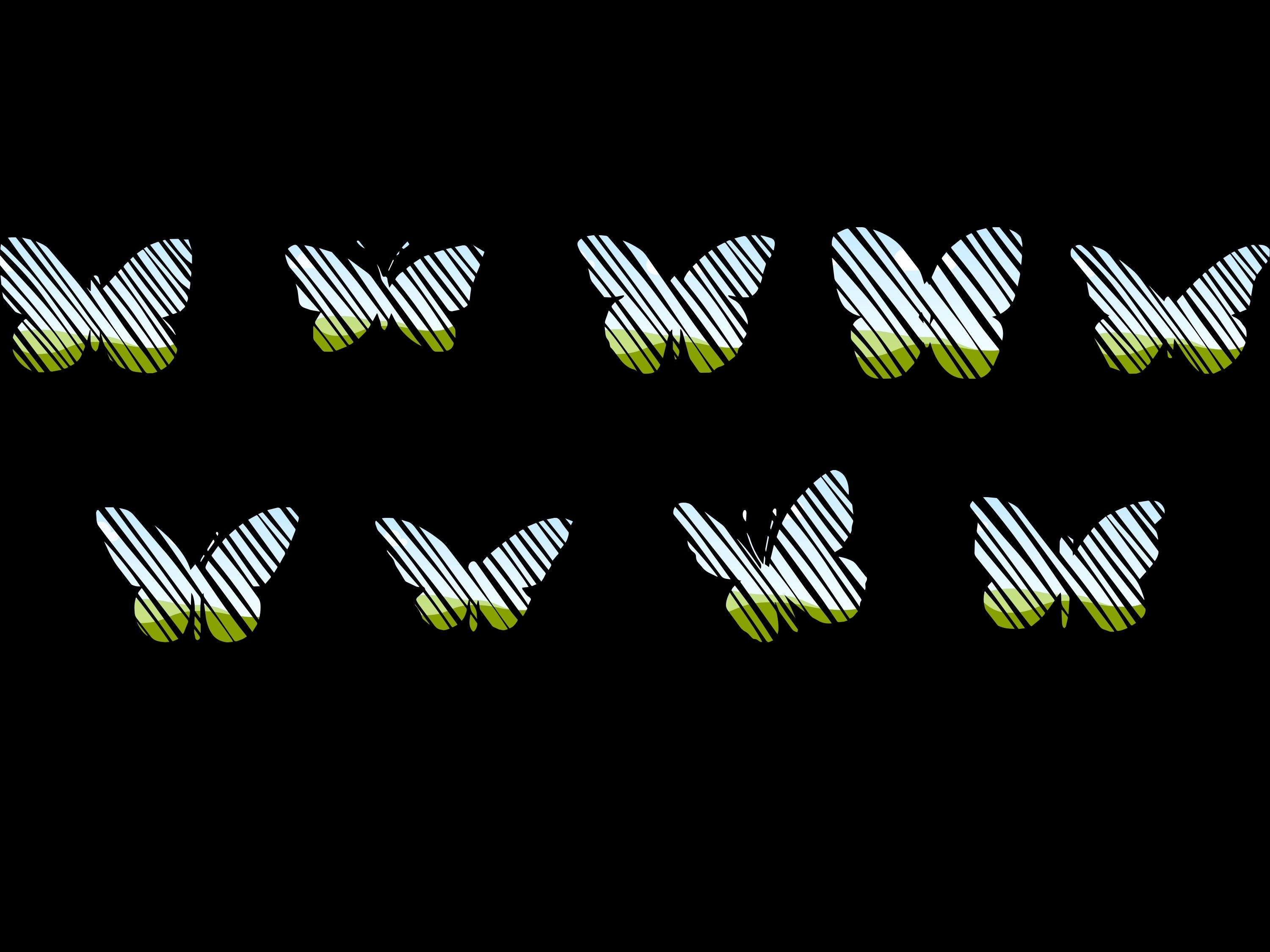 Butterflies Canva Frames, Butterfly Editable Template, Butterflies SVG ...
