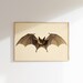 PRINTABLE Halloween Bat Vintage Print, Spooky Bat Wall Art, Halloween ...