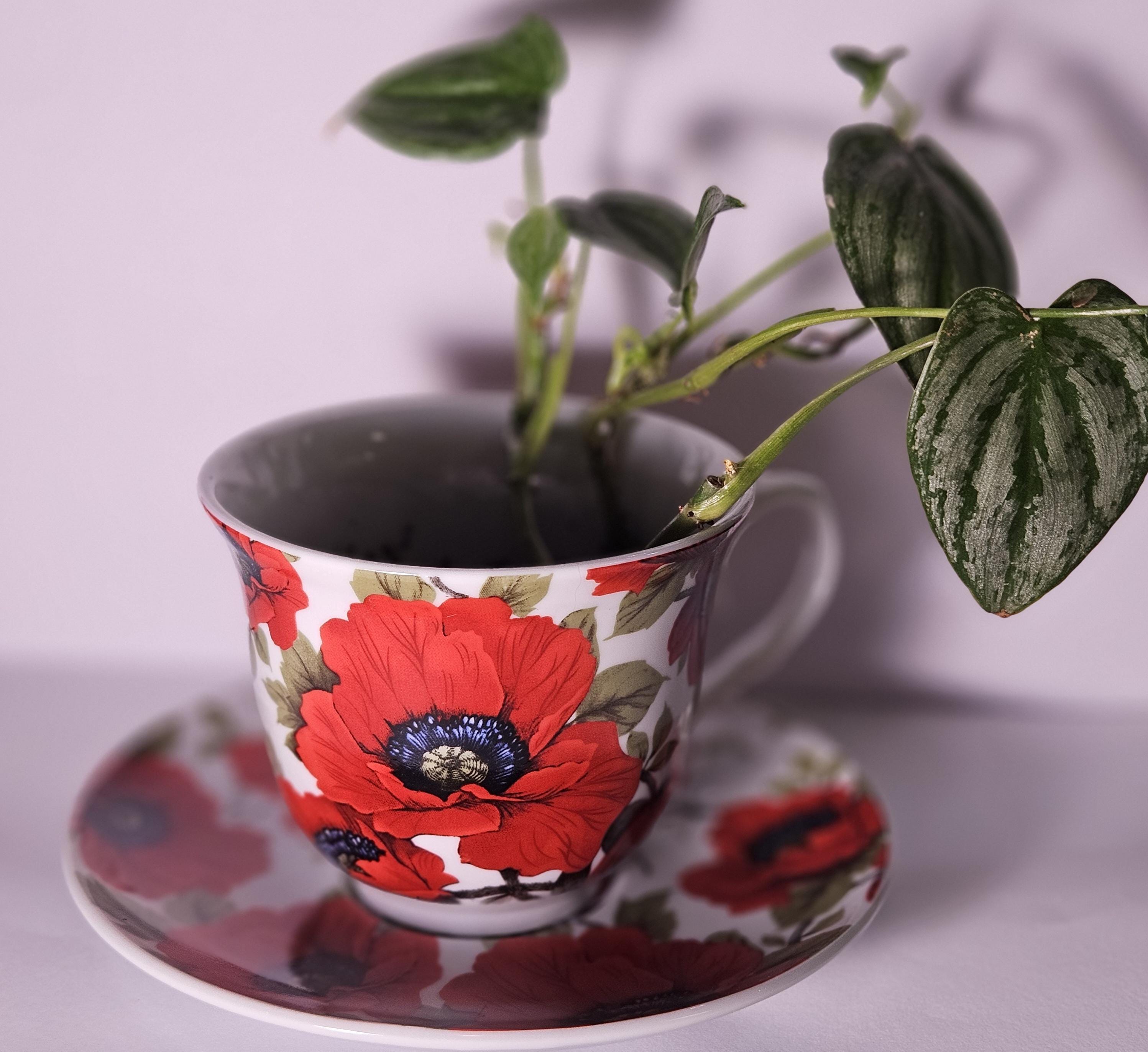 Upcycled Red Poppy Teacup Planter With Drainage and Saucer - Etsy