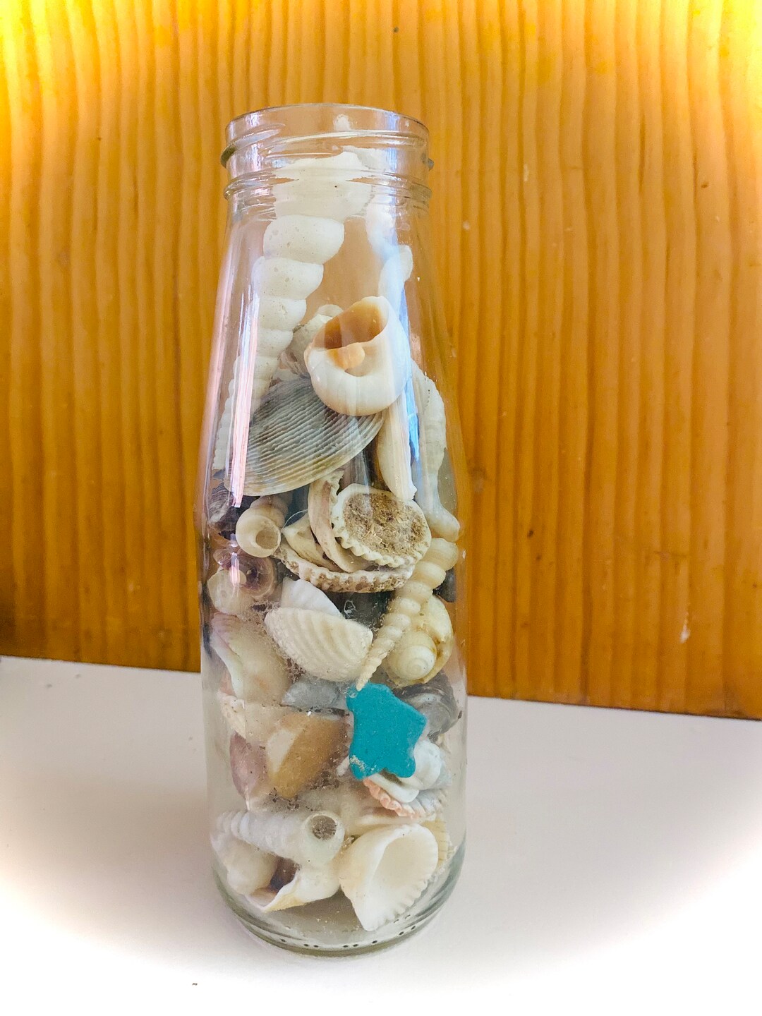 Sea Shell, Arts and Crafts, Beach Ideas, Wedding Ideas - Etsy