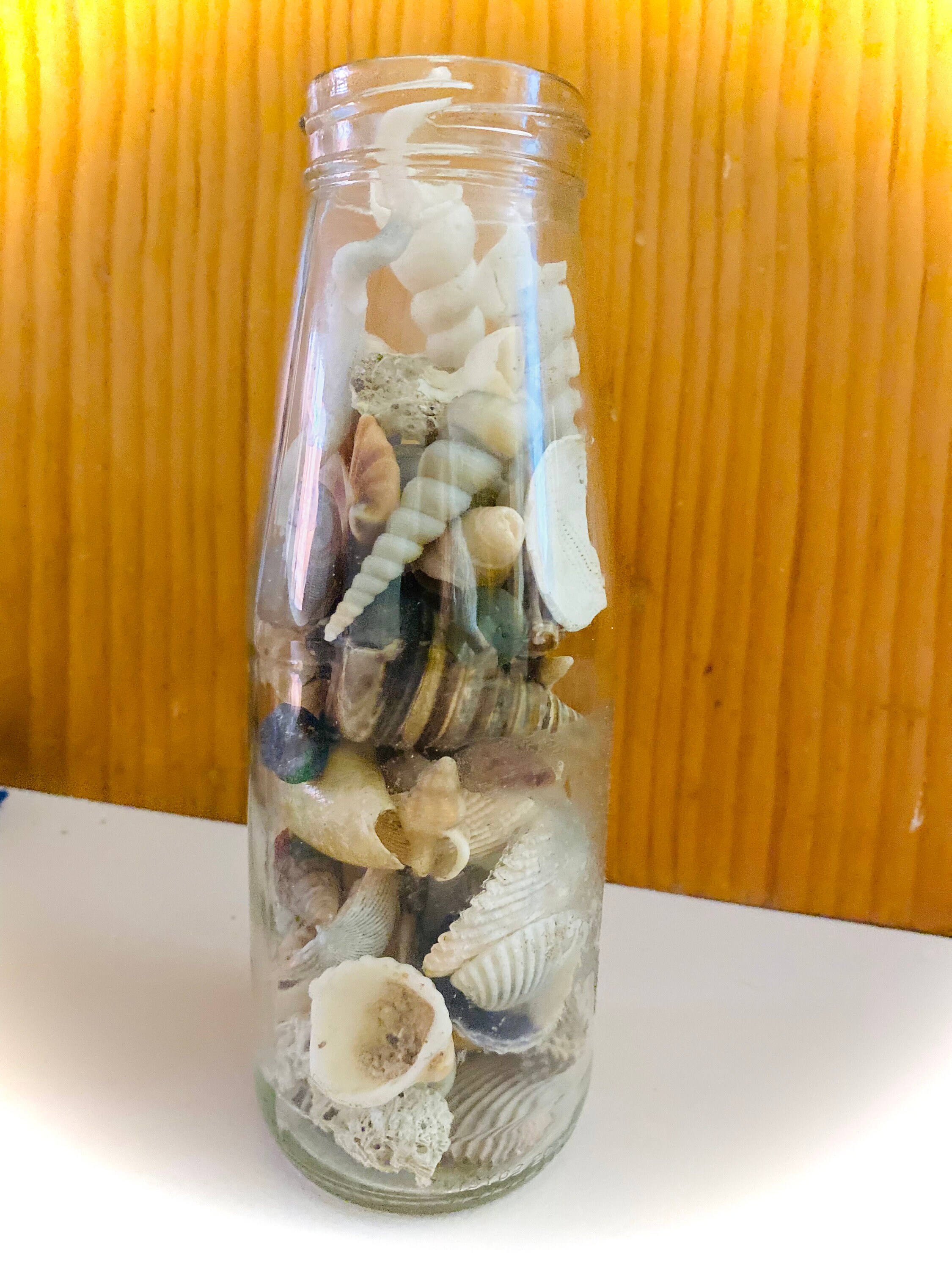 Sea Shell, Arts and Crafts, Beach Ideas, Wedding Ideas - Etsy