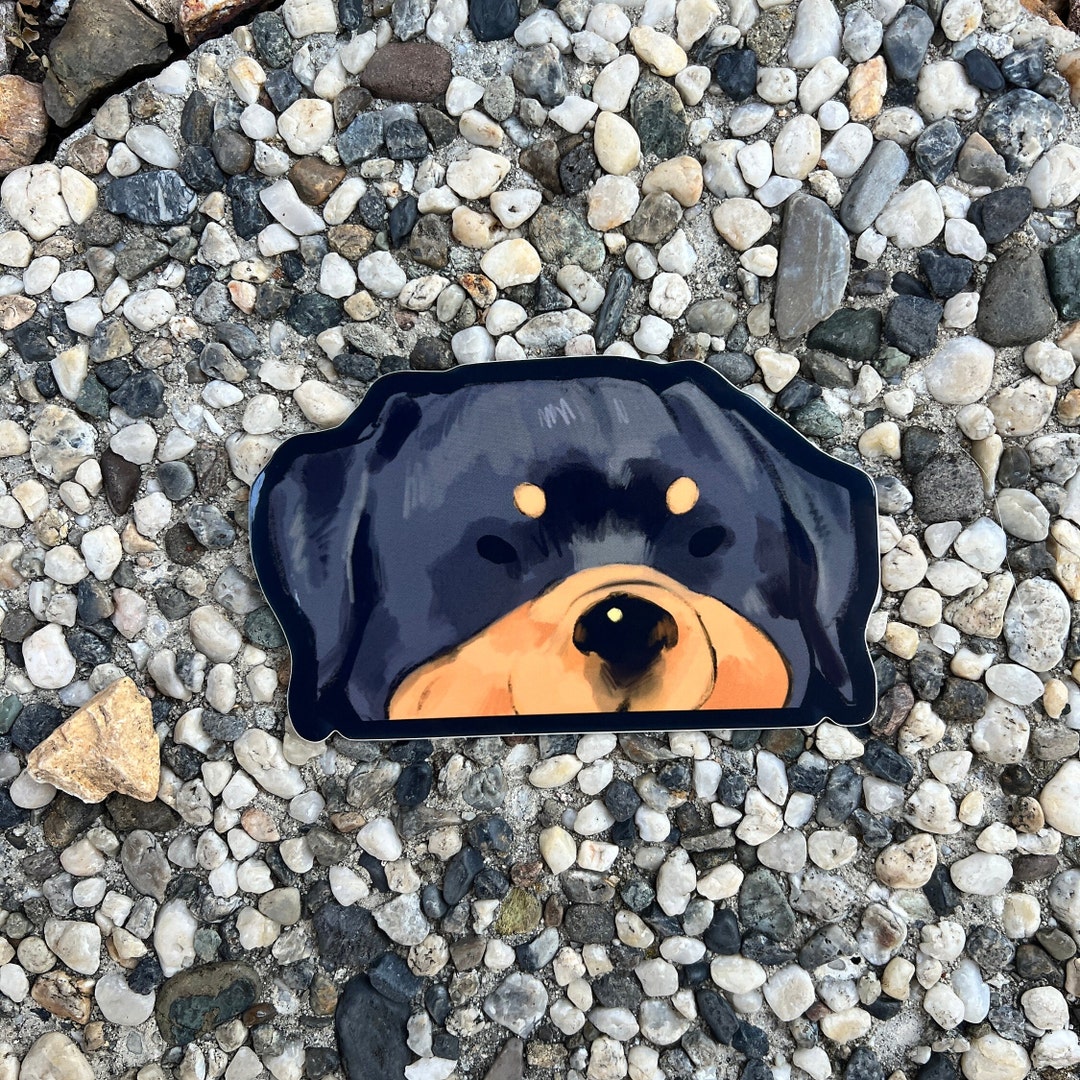 Rottweiler Car Peeker Sticker (weatherproof) - Etsy