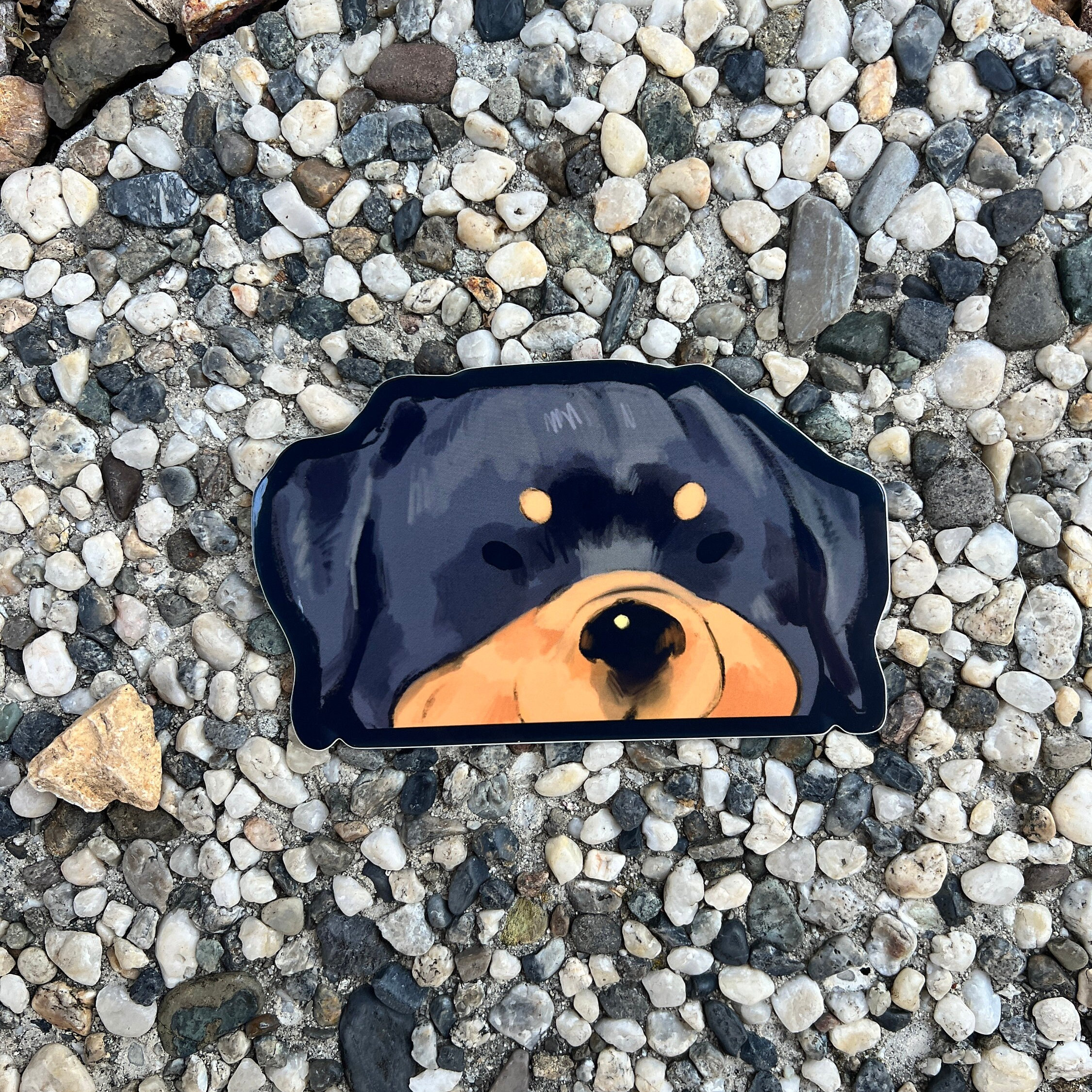 Rottweiler Car Peeker Sticker (weatherproof) - Etsy