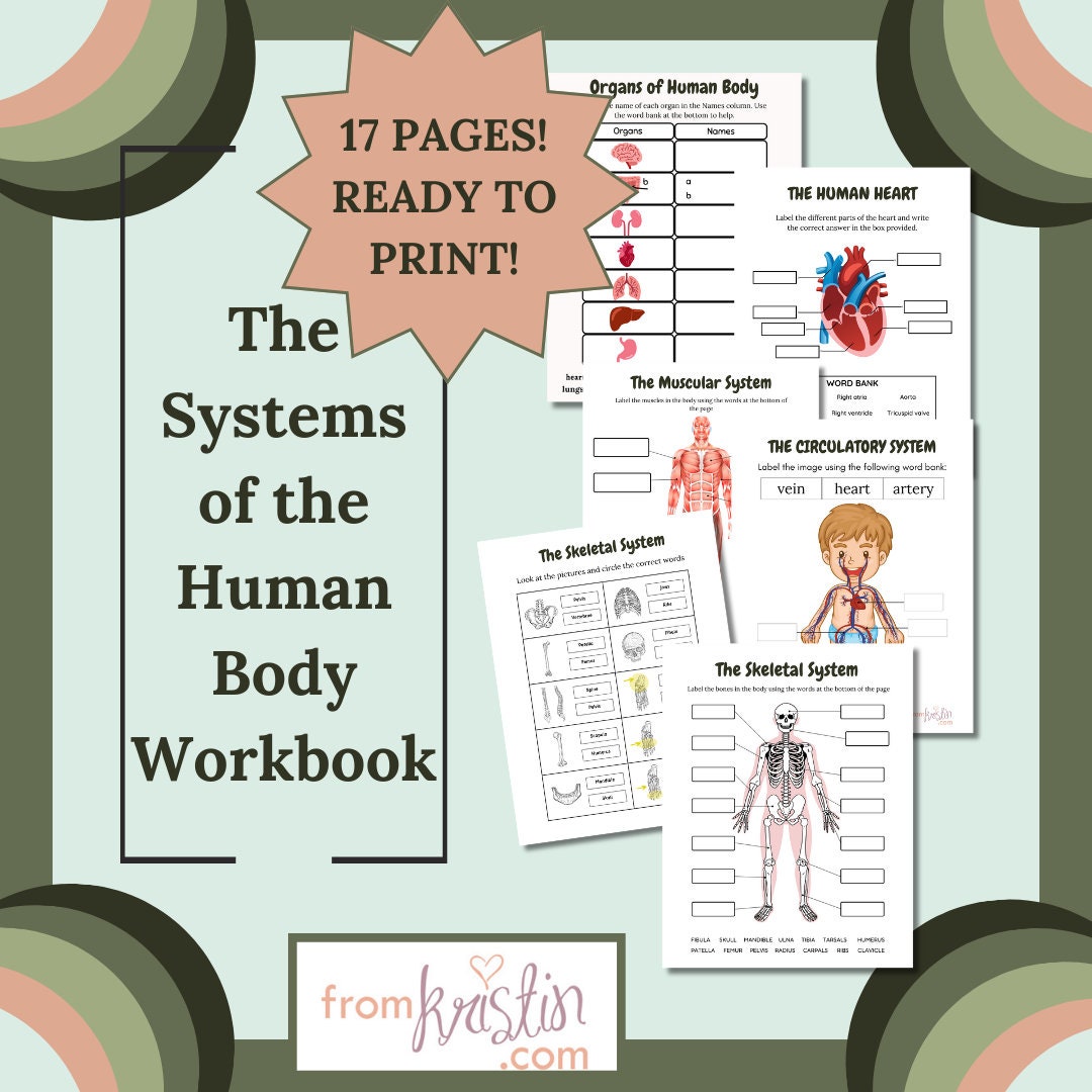 The Systems of the Human Body Workbook - Elementary School - Etsy