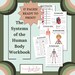 The Systems of the Human Body Workbook - Elementary School - Etsy