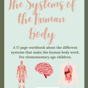 The Systems of the Human Body Workbook - Elementary School - Etsy