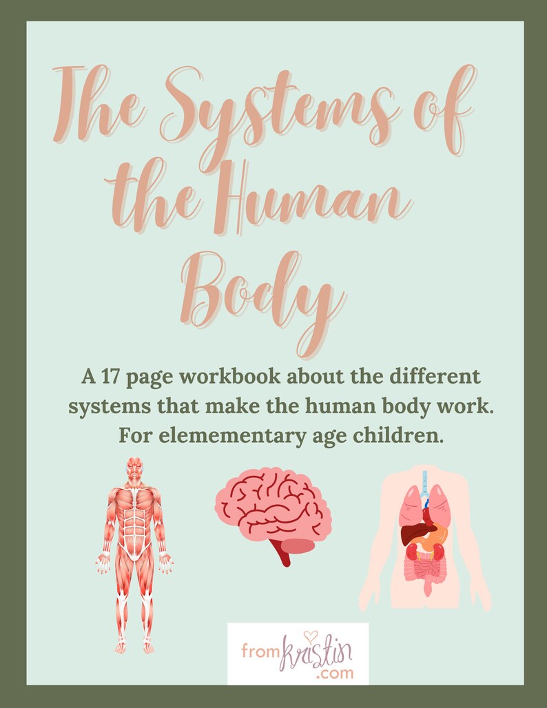 The Systems of the Human Body Workbook - Elementary School - Etsy