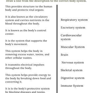 The Systems of the Human Body Workbook - Elementary School - Etsy