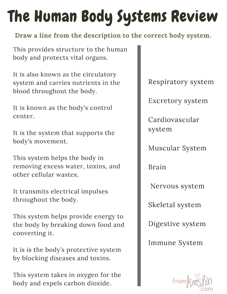 The Systems of the Human Body Workbook - Elementary School - Etsy