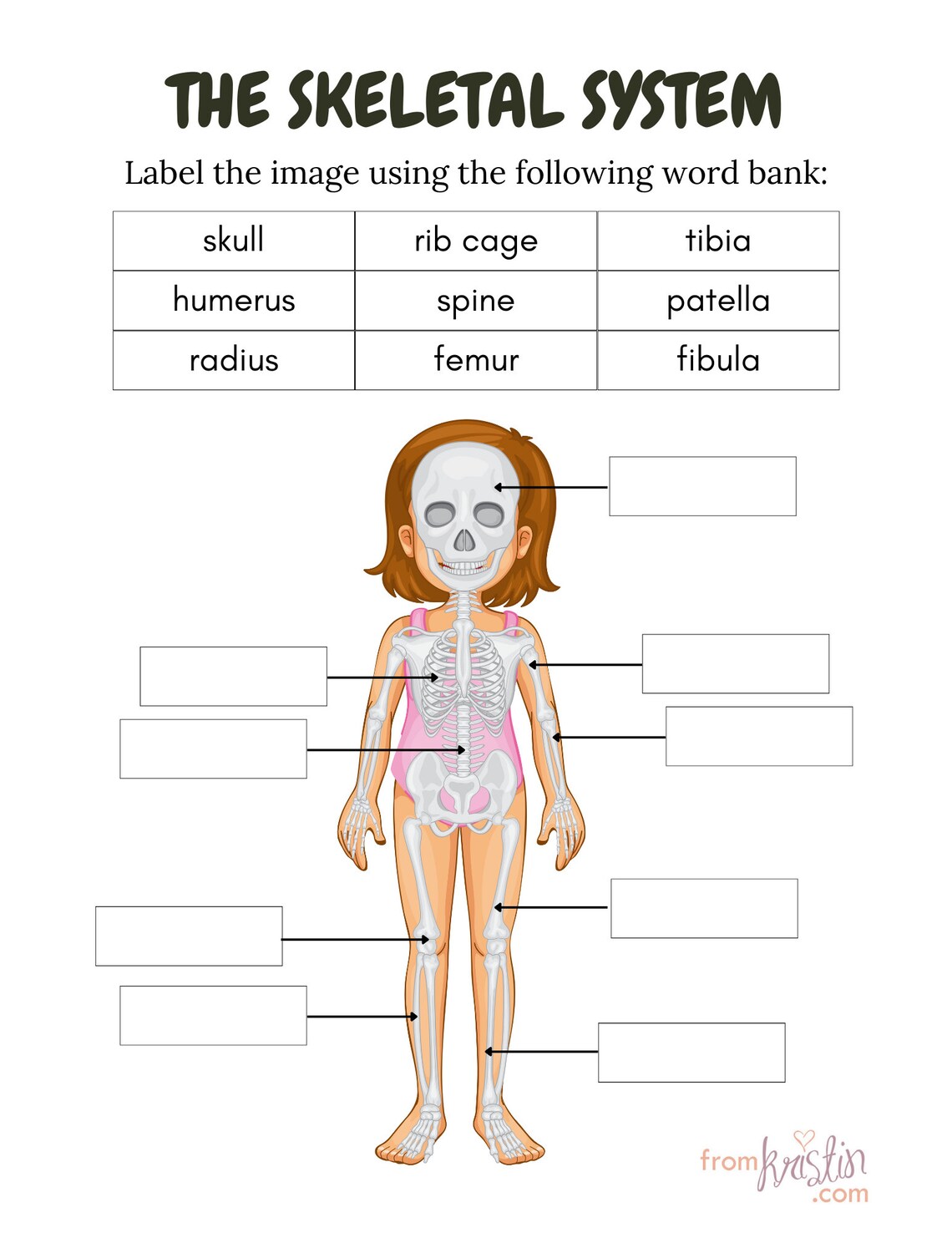 The Systems of the Human Body Workbook - Elementary School - Etsy