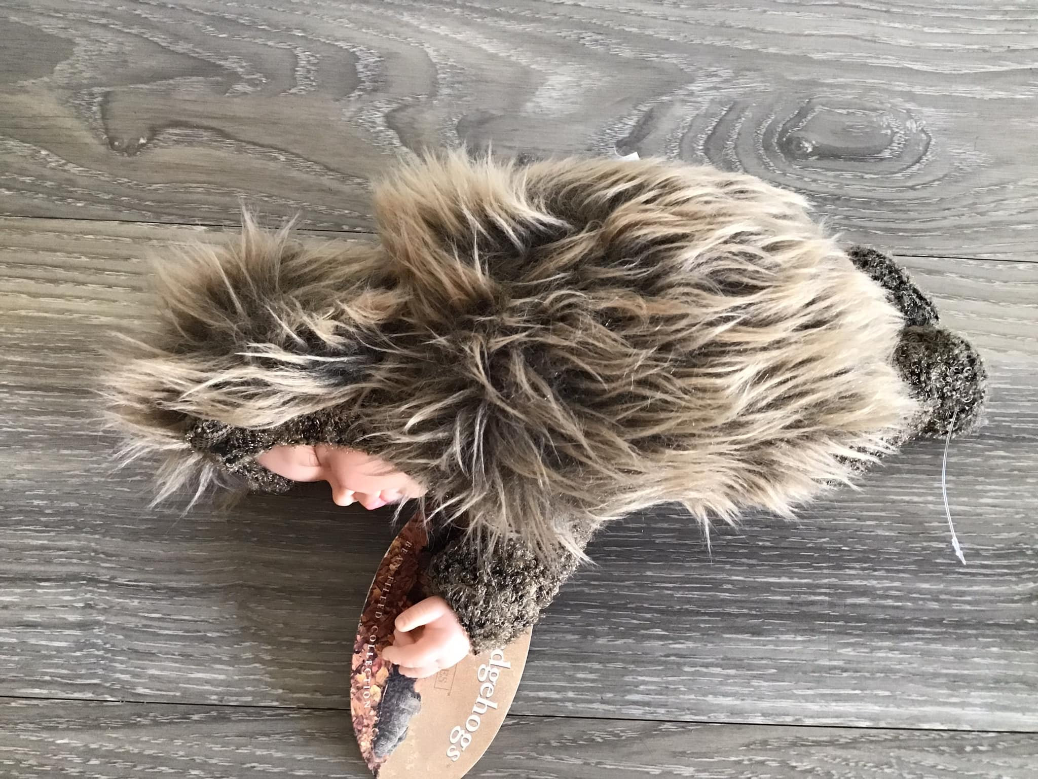 Anne Geddes Baby Hedgehogs Stuffed Doll Plush Toy 9.5" - Etsy